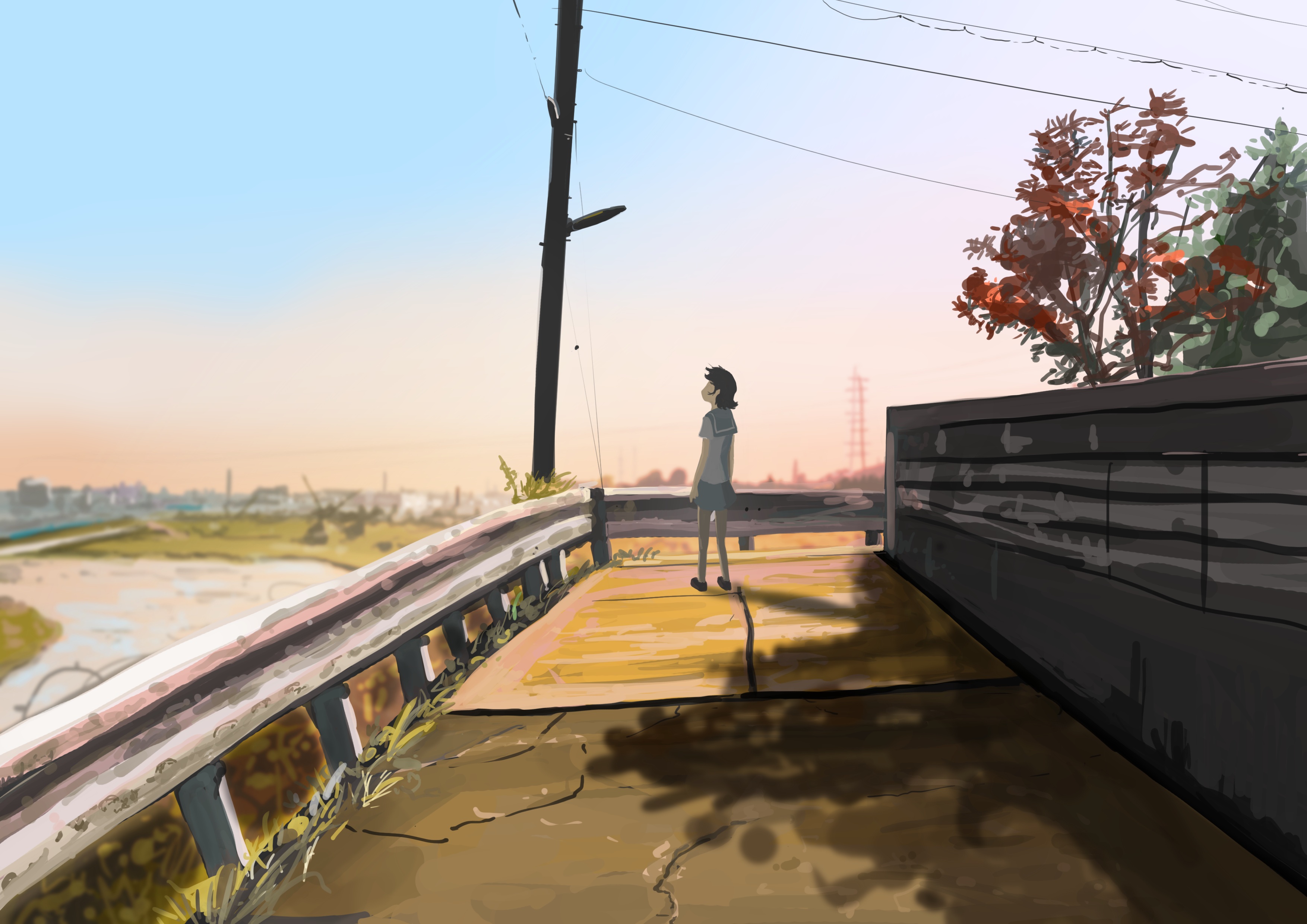 Download Sakura Anime Path HD Wallpaper