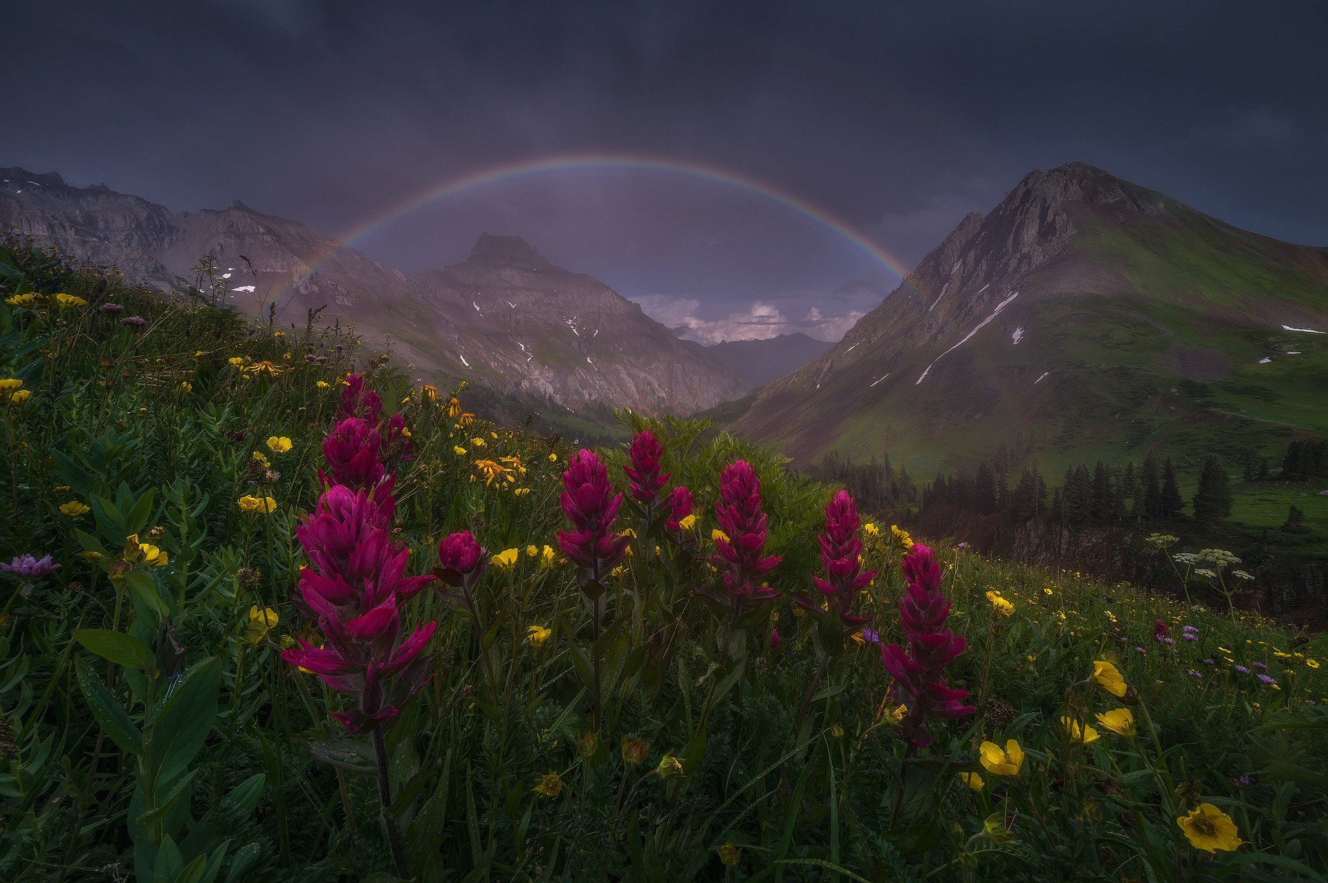 Download Nature Mountain Flower Landscape Rainbow HD Wallpaper