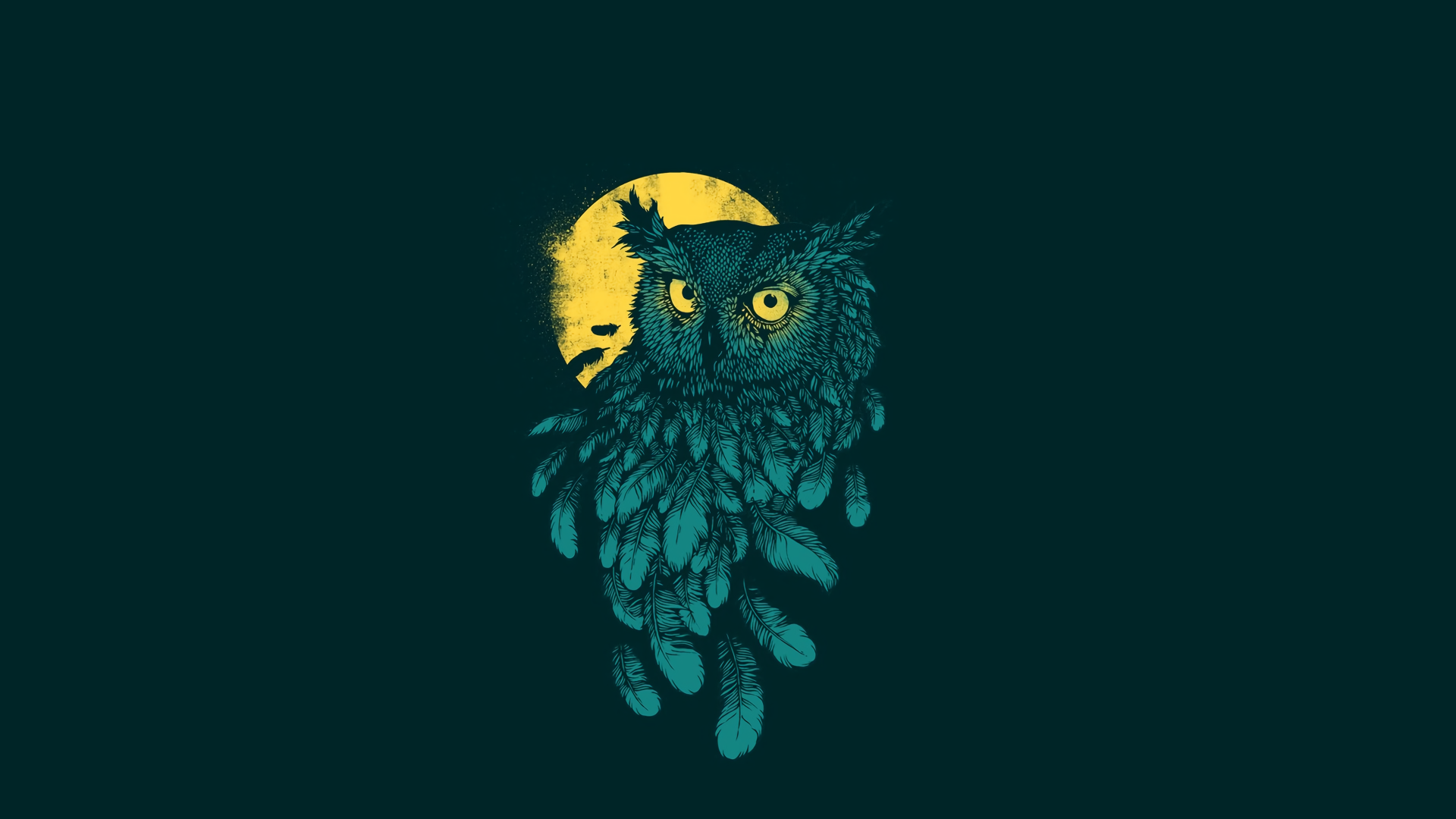 Majestic Owl in Moonlit Night HD Wallpaper | 1920x1080 | Wallpaper Abyss