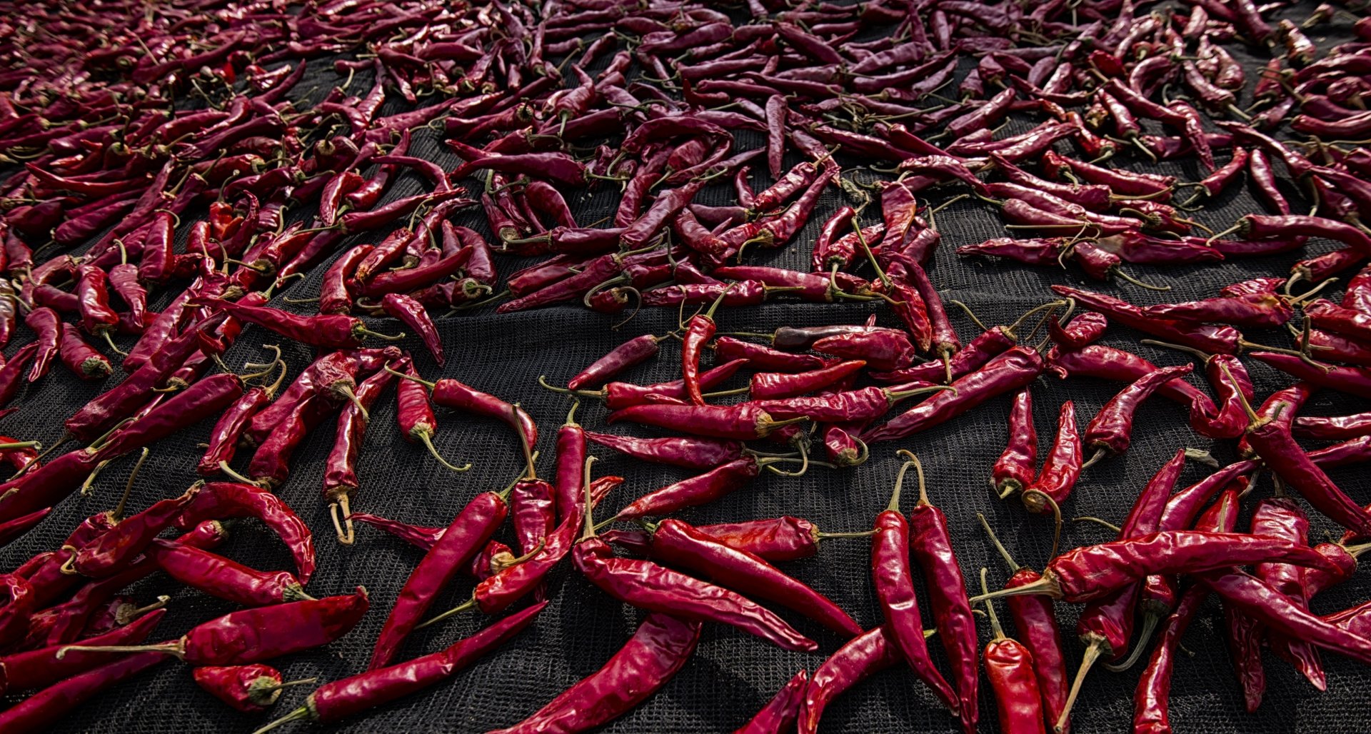 Download Food Pepper HD Wallpaper