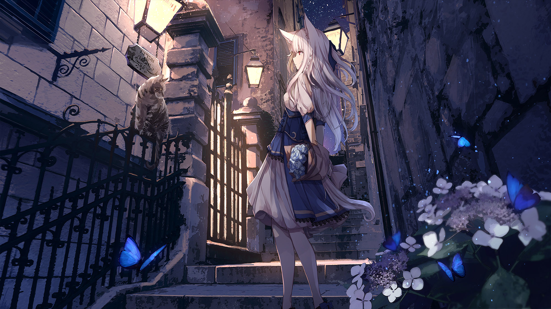 Enchanted Night: Anime Girl with Cat - HD Wallpaper