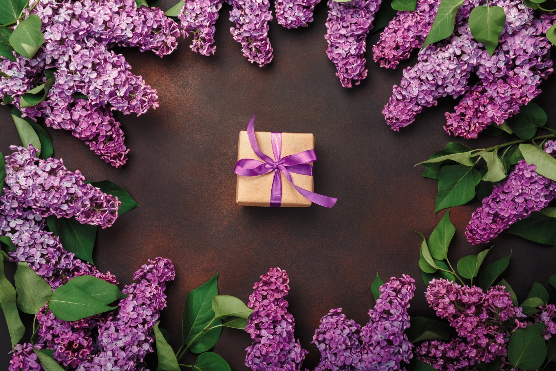 Download Purple Flower Lilac Flower Misc Gift 4k Ultra HD Wallpaper