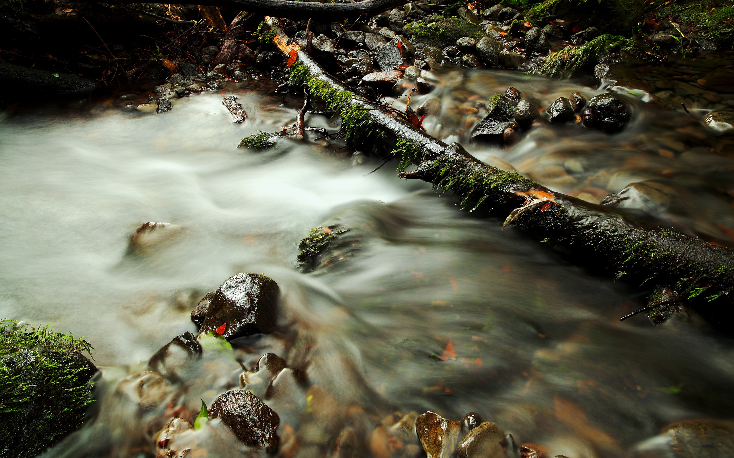 Serene Forest Stream HD Wallpaper: Nature’s Tranquil Flow by Masterchief