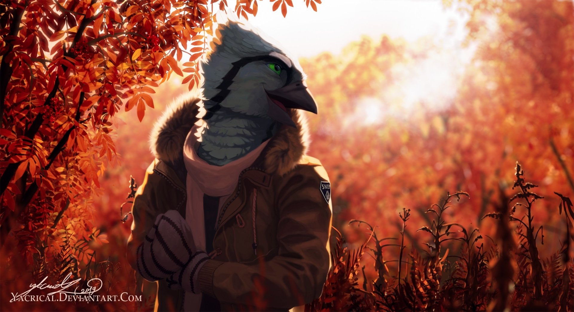 Download Fantasy Bird HD Wallpaper by Yacrical