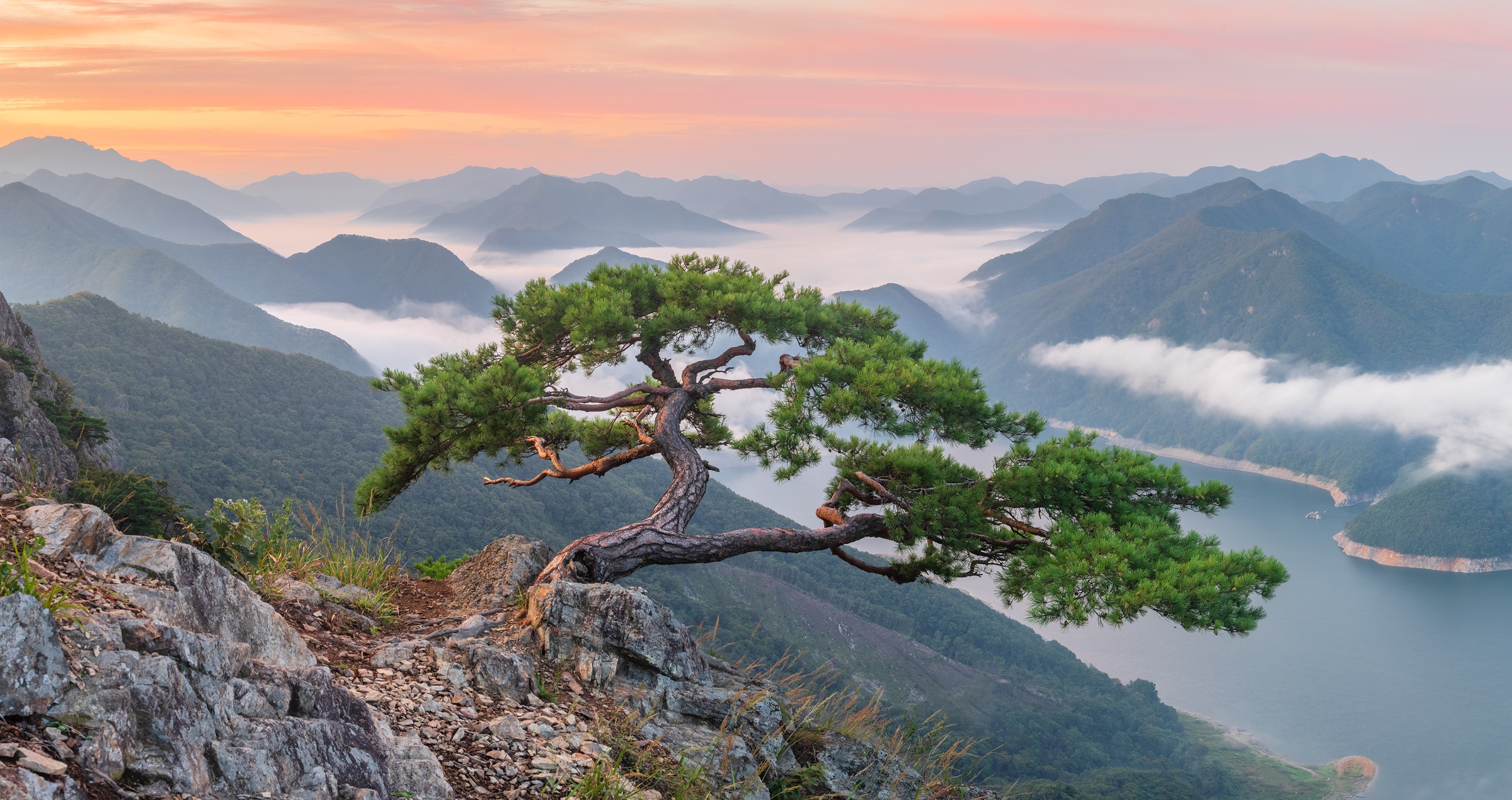 Download South Korea River Fog Nature Mountain Landscape Tree HD Wallpaper