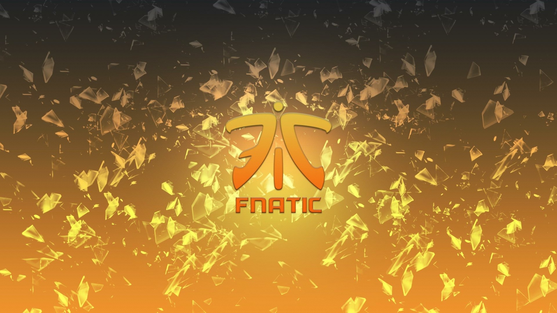 Download Gaming Team Esports Video Game Fnatic HD Wallpaper