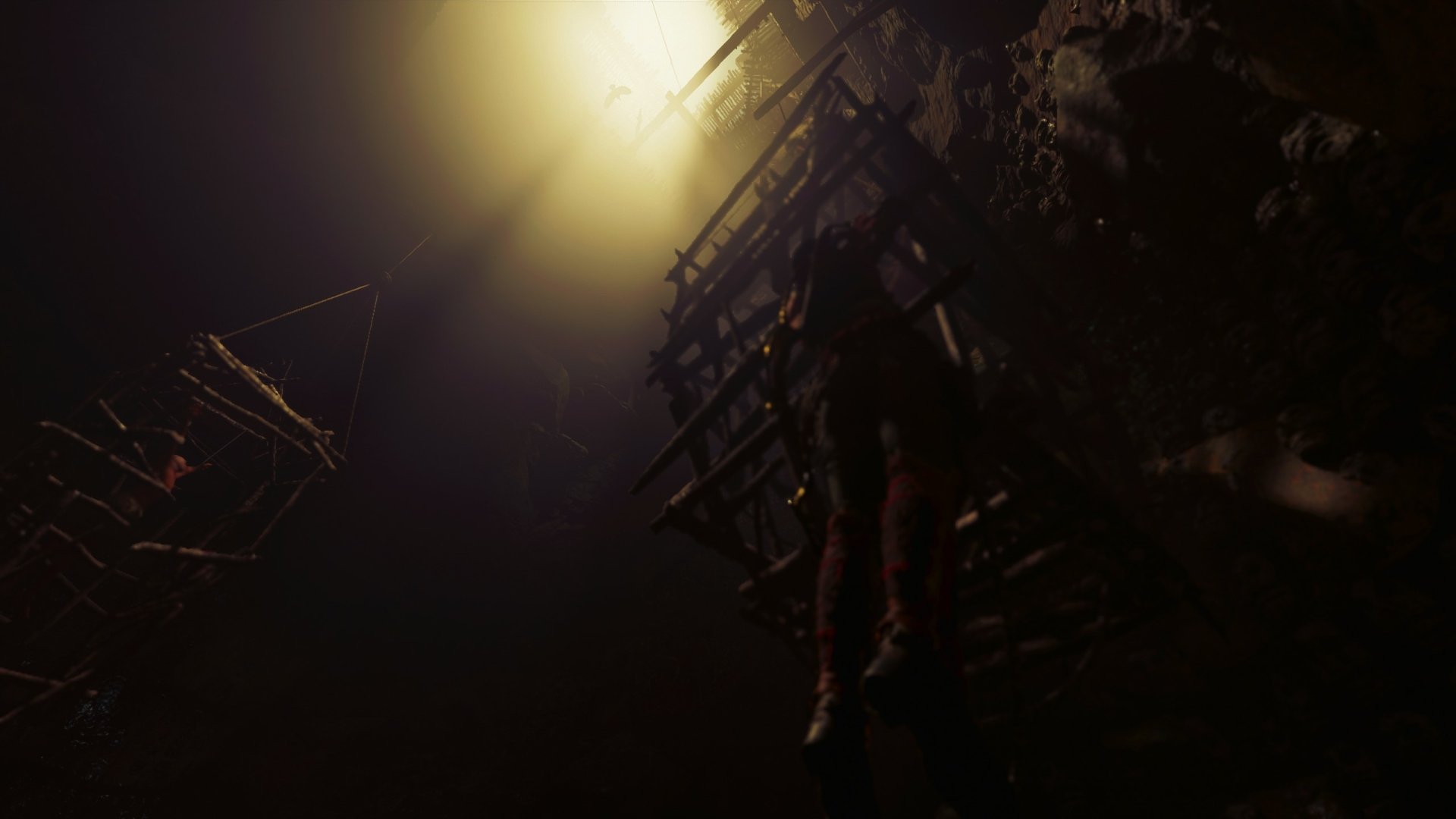Skeleton Tomb by FLX-II | 2560x1440 | Wallpaper Abyss