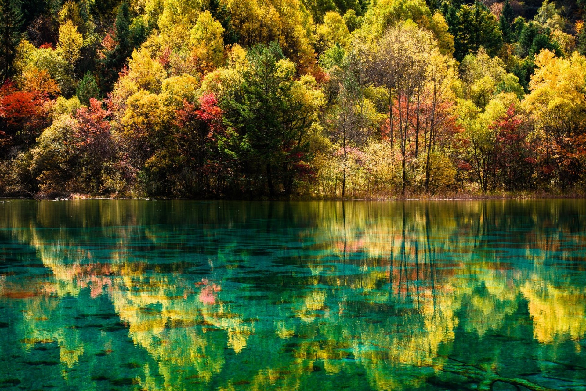 Autumn Reflection: Serene Lake in China's Natural Splendor HD
