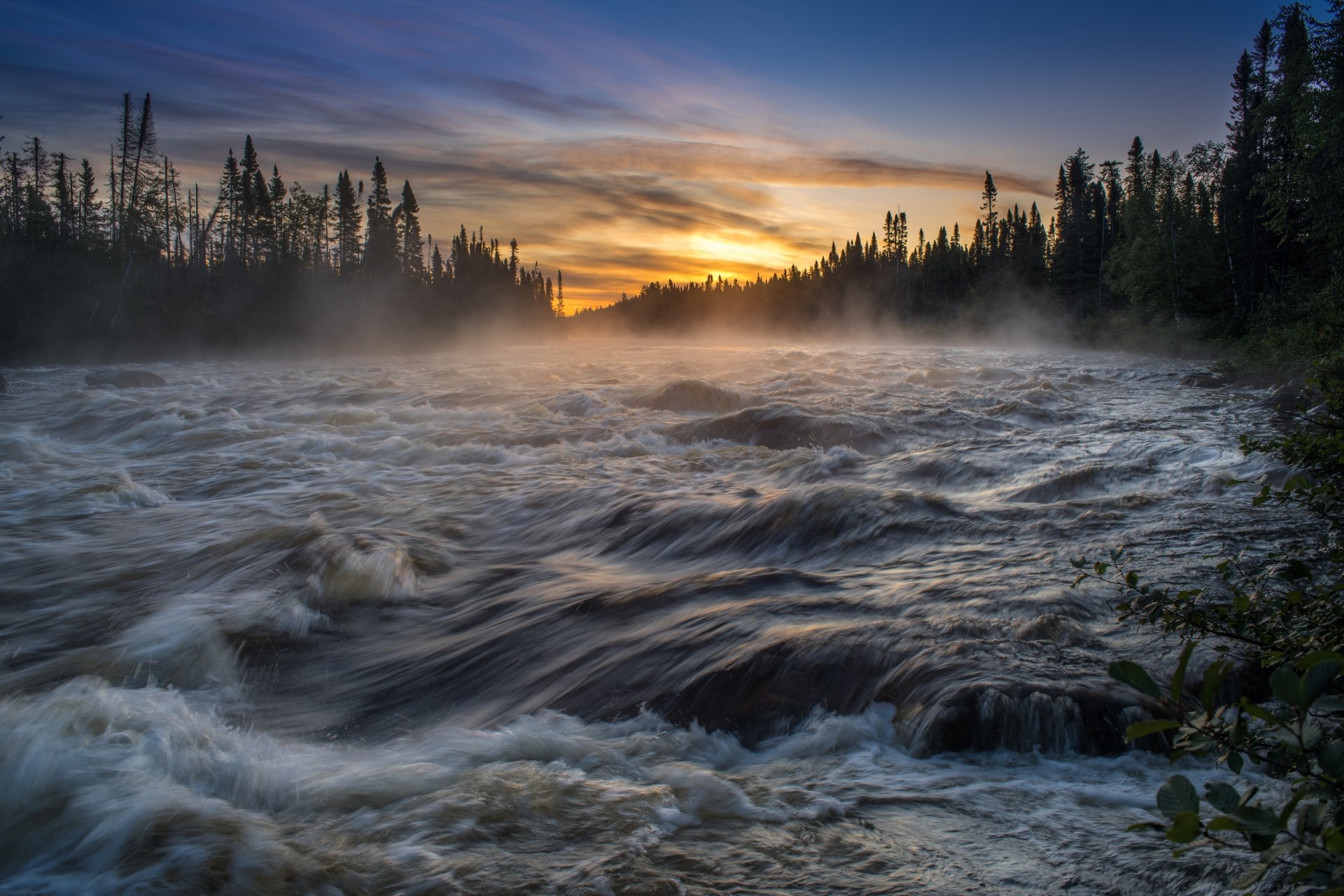 8K Ultra HD Sunrise Over Misty River in Untamed Nature