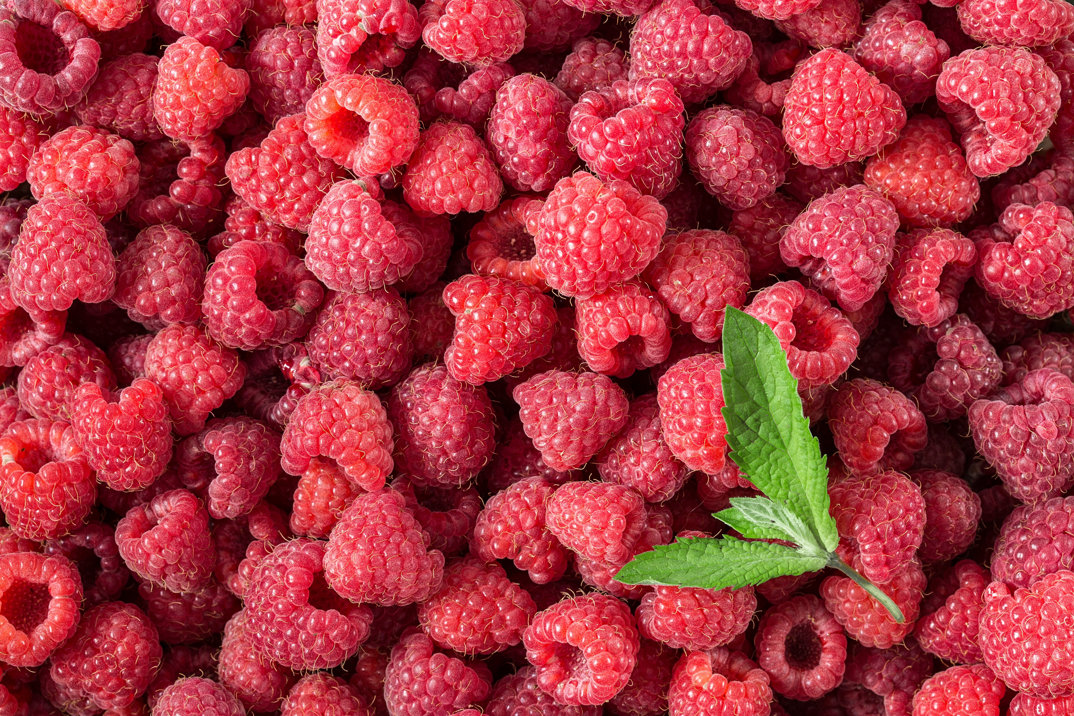 Raspberry 4k Ultra HD Wallpaper | Background Image | 4500x3000