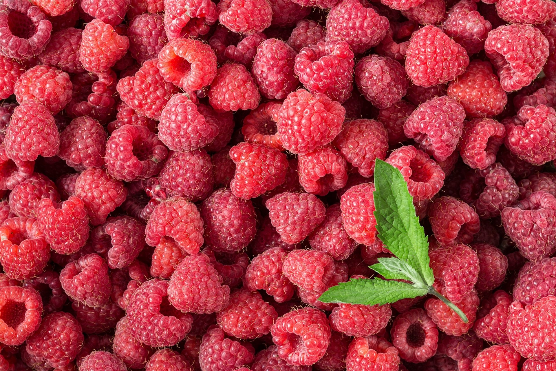 Download Fruit Berry Food Raspberry 4k Ultra HD Wallpaper
