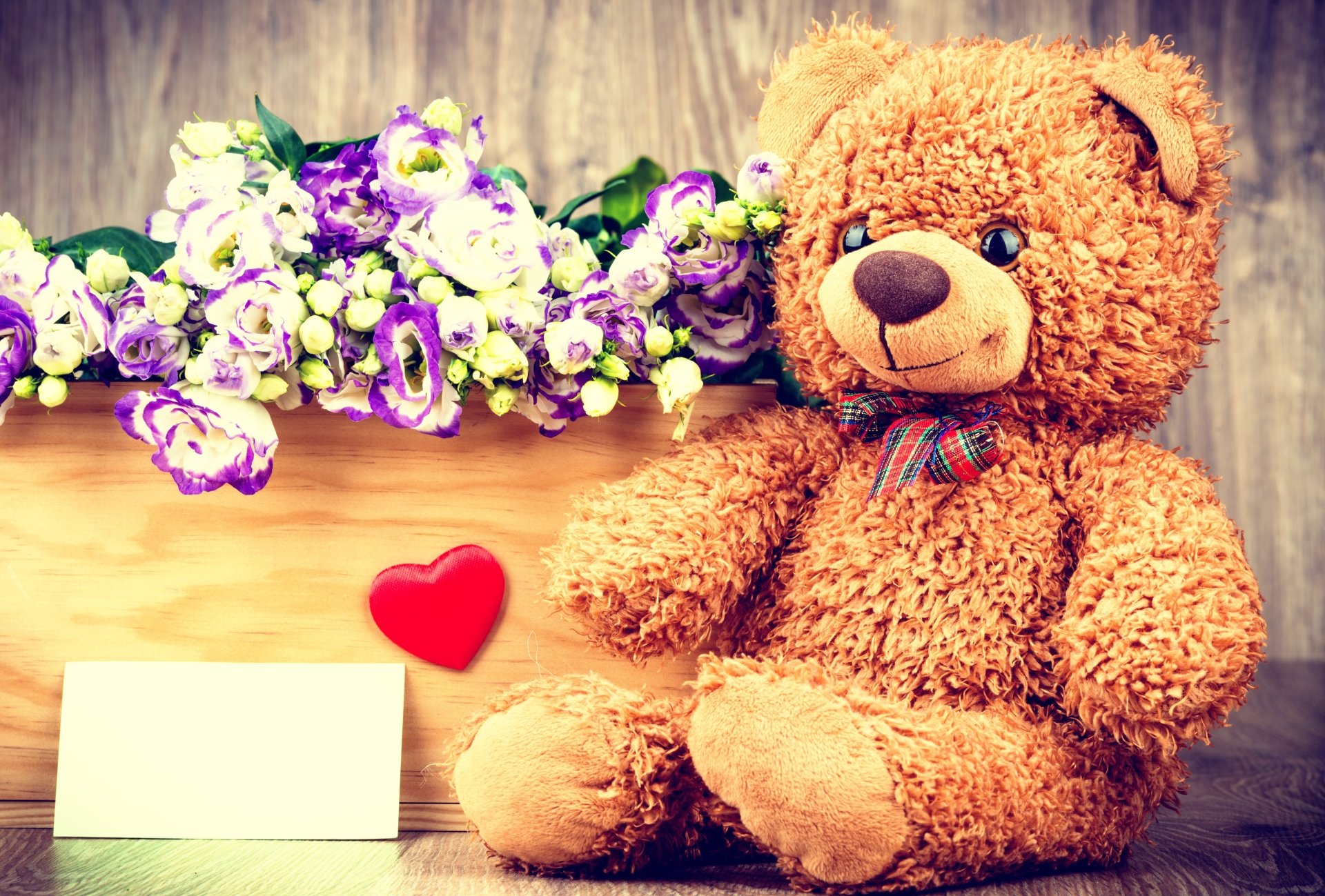 Download Teddy Bear Flower Man Made Stuffed Animal 4k Ultra HD Wallpaper