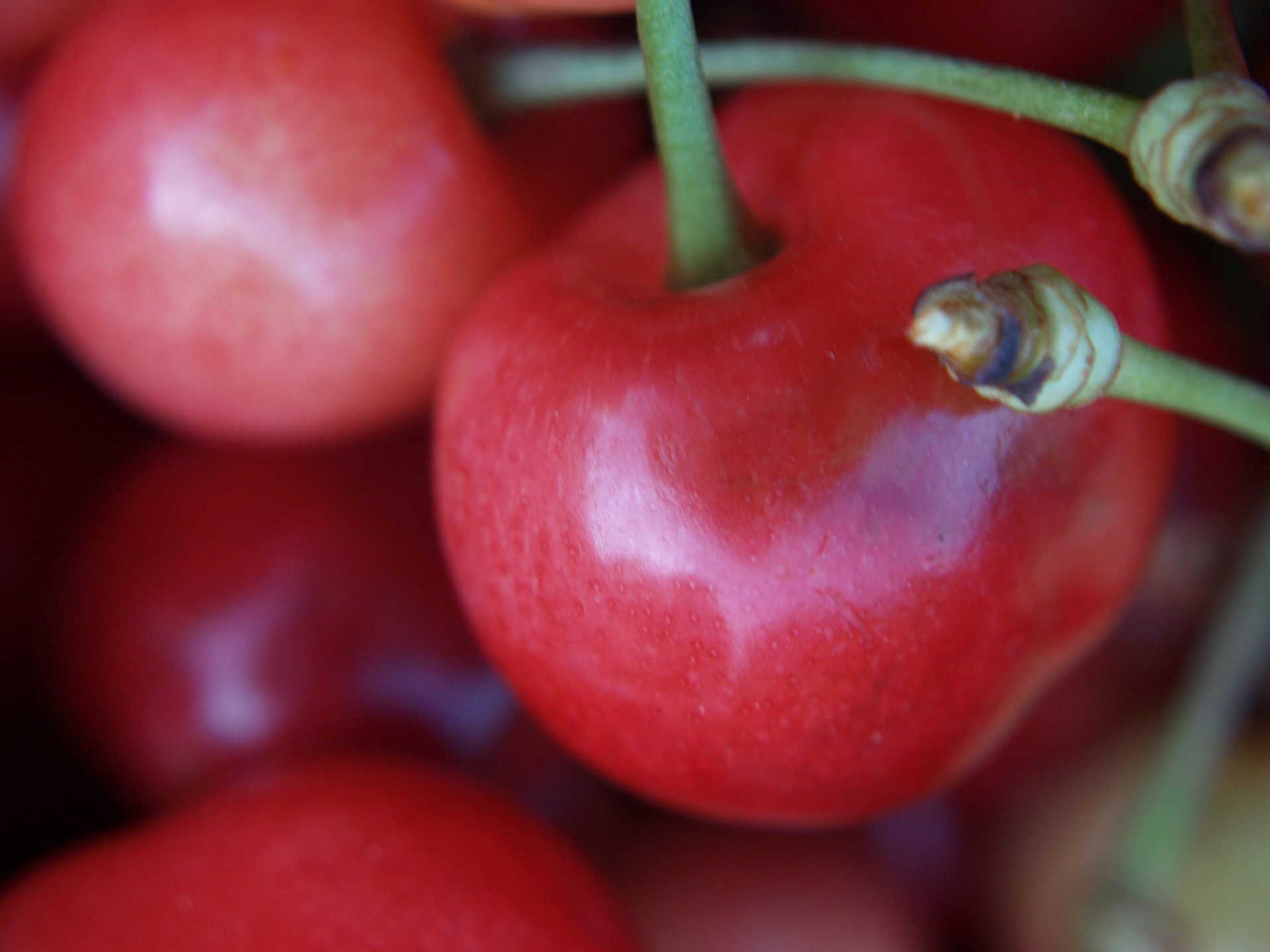 Delicious Cherry Close-Up | HD Wallpaper