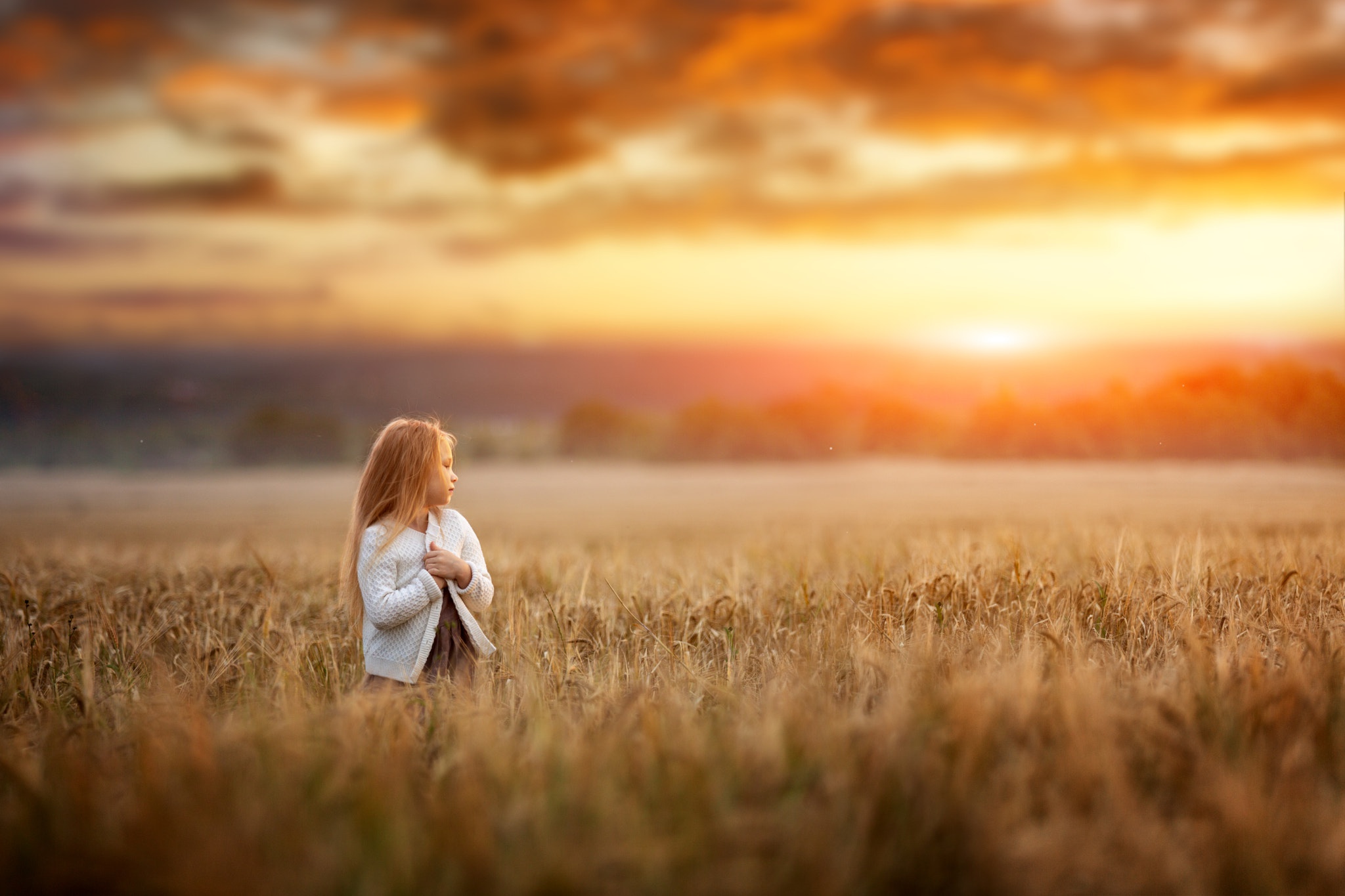 Download Sunset Field Photography Child HD Wallpaper by Renat Fotov