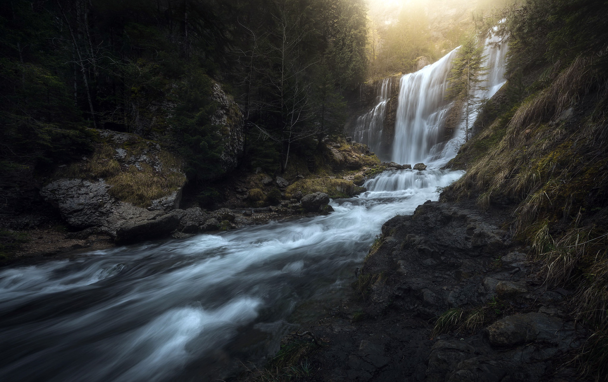 Download River Forest Nature Waterfall HD Wallpaper