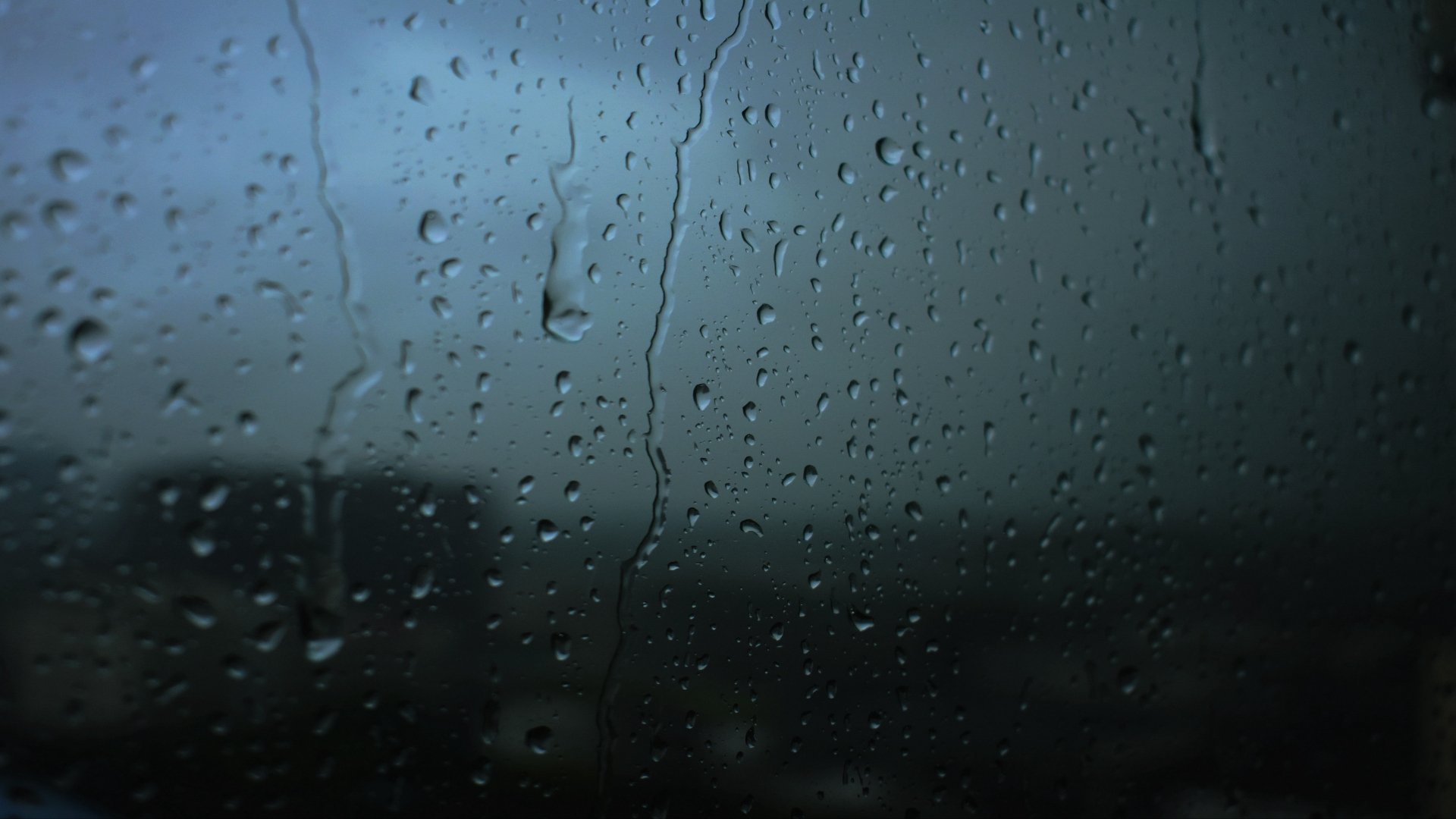 Download Photography Raindrops 4k Ultra HD Wallpaper