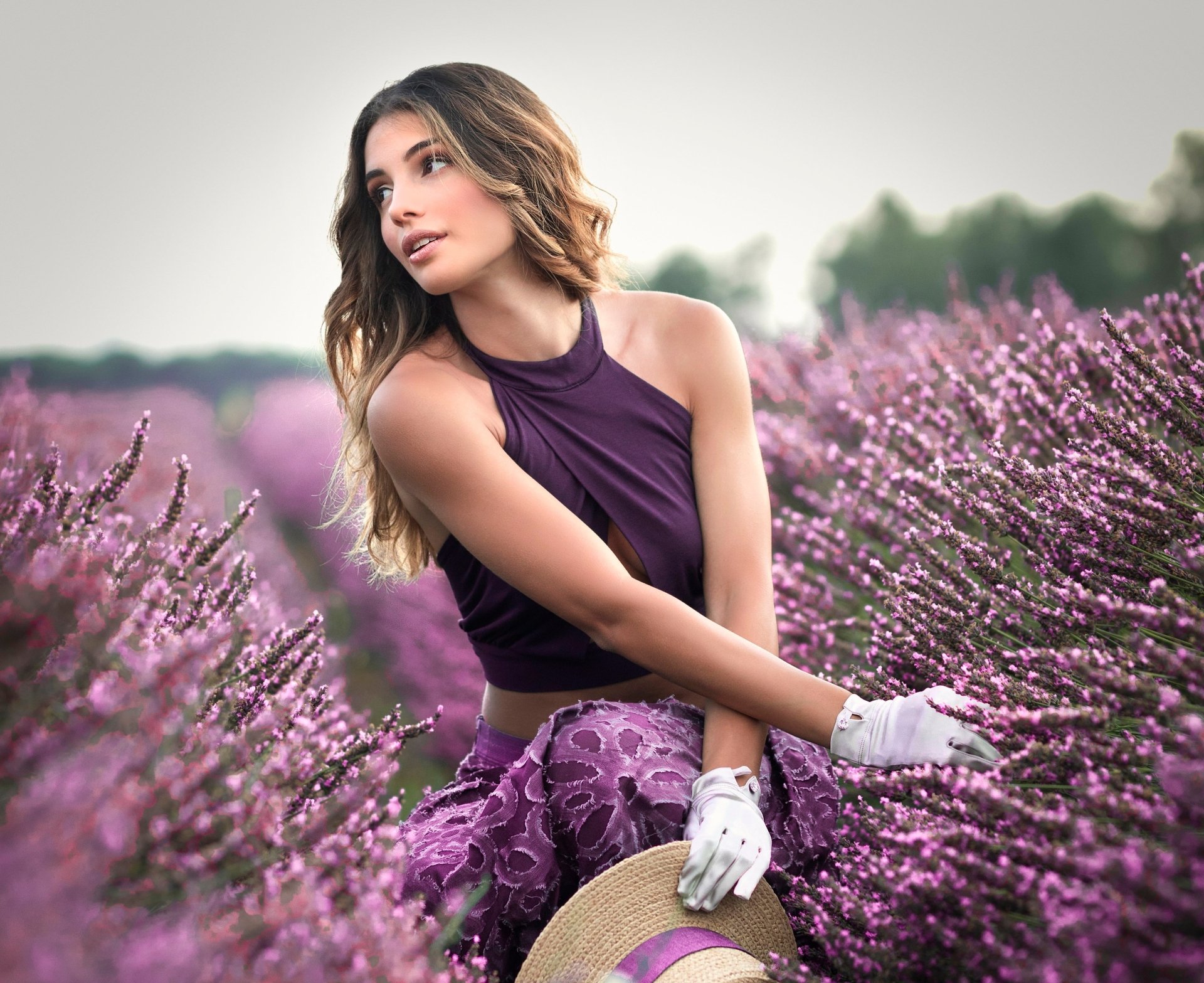 Download Summer Lavender Depth Of Field Brunette Woman Model HD Wallpaper