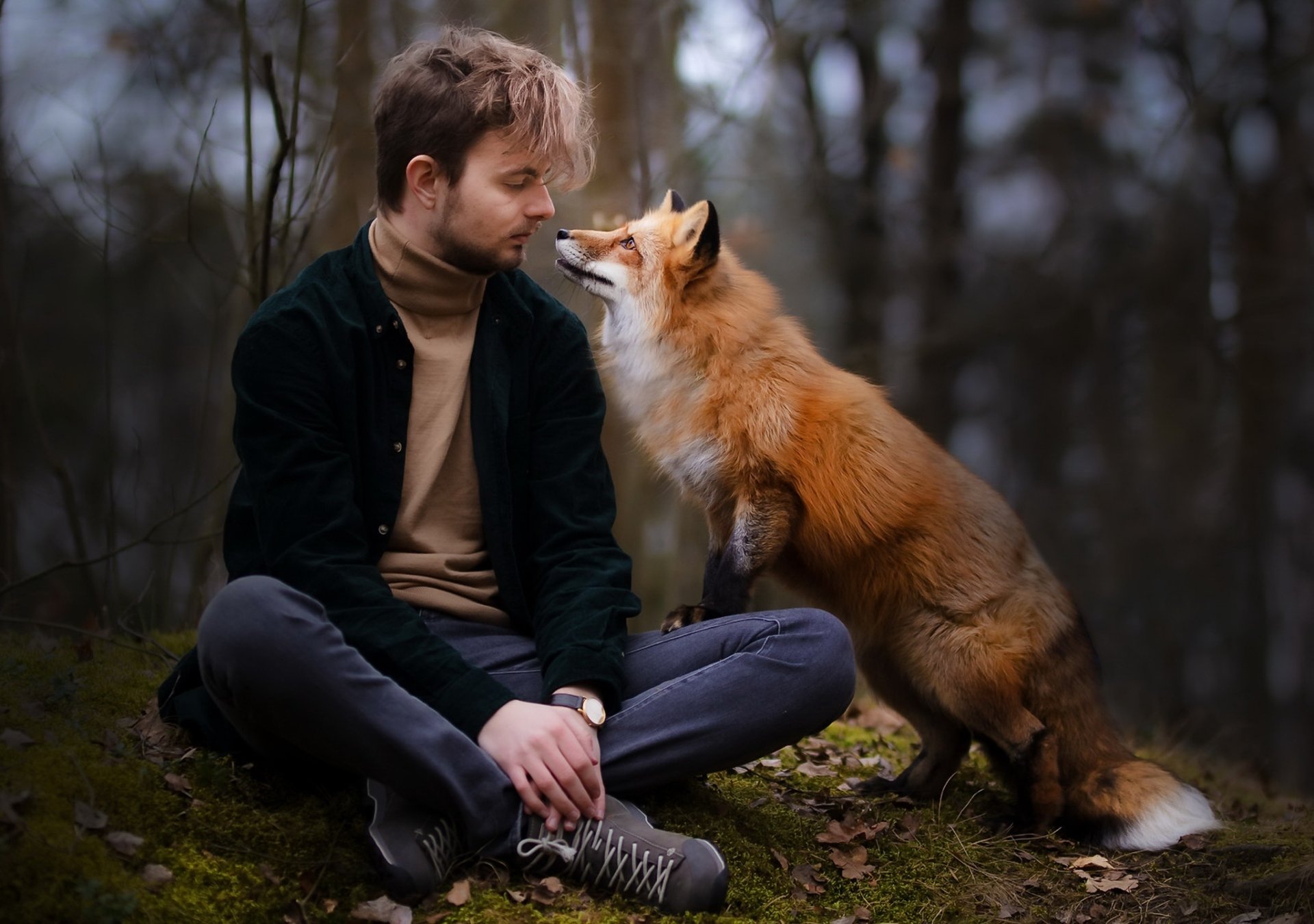 Download Fox Man Mood HD Wallpaper