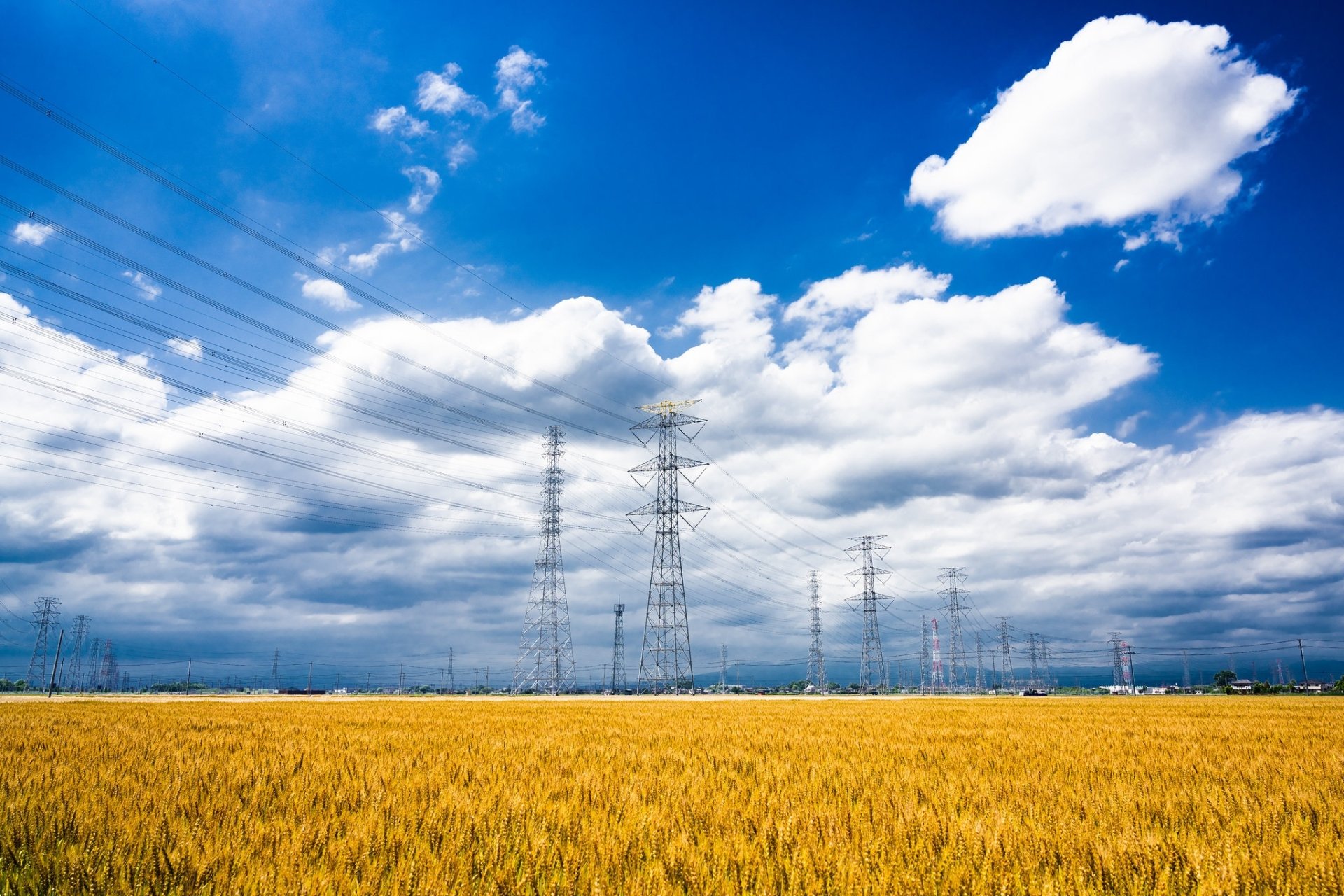 Download Cloud Sky Field Wheat Man Made Power Line HD Wallpaper