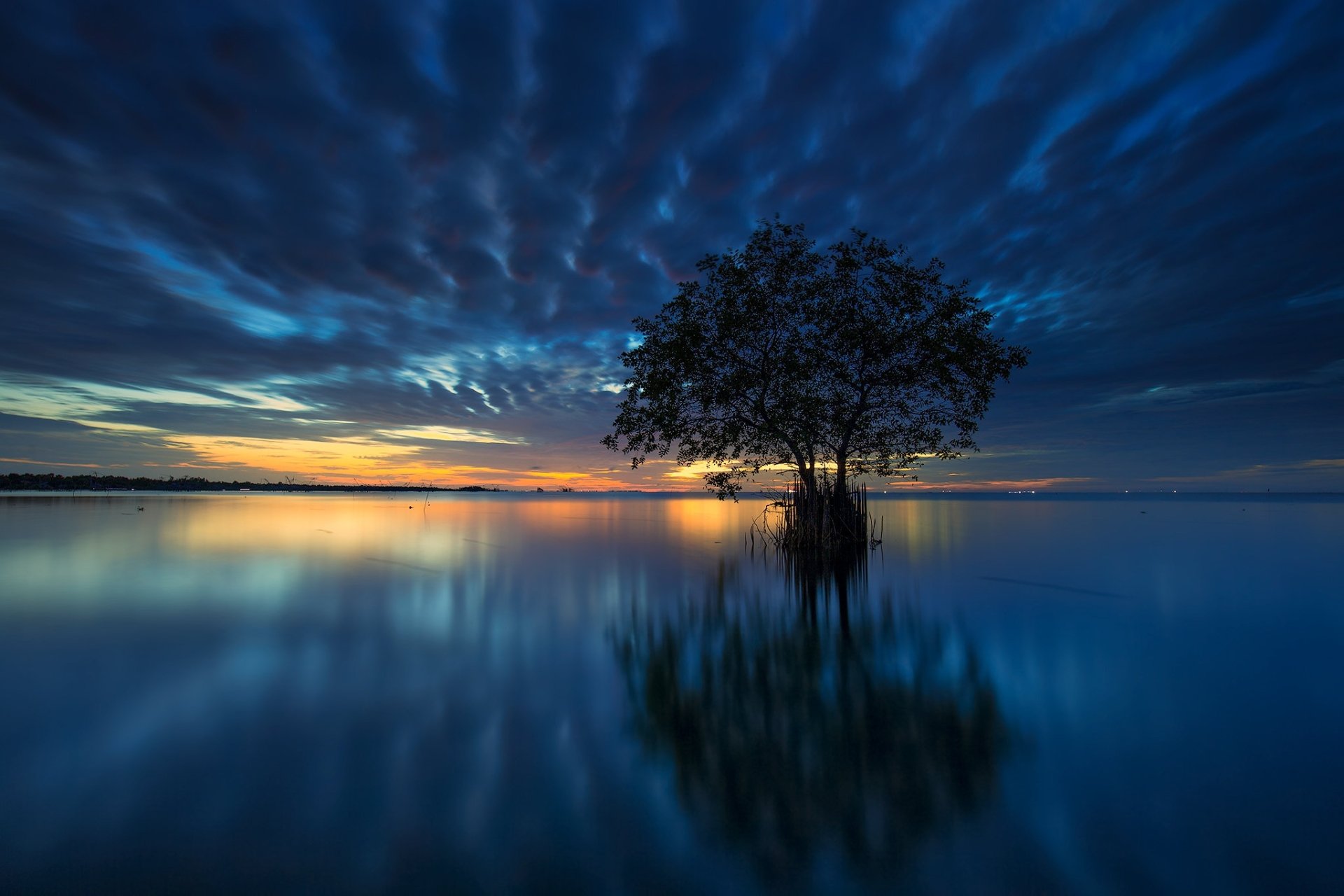 Download Horizon Sunset Tree Cloud Nature Lake HD Wallpaper