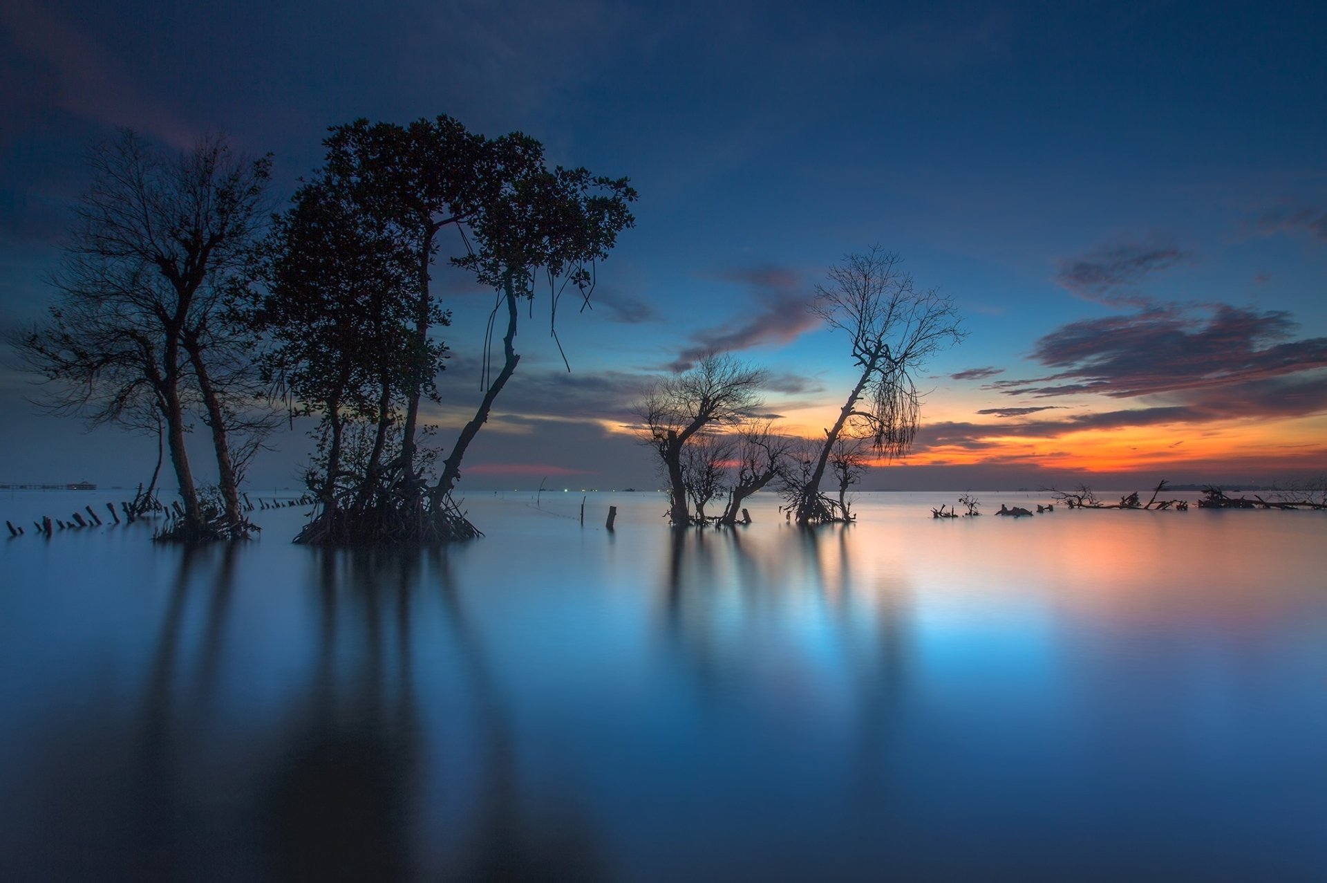 Download Bay Indonesia Tree Nature Sunset HD Wallpaper
