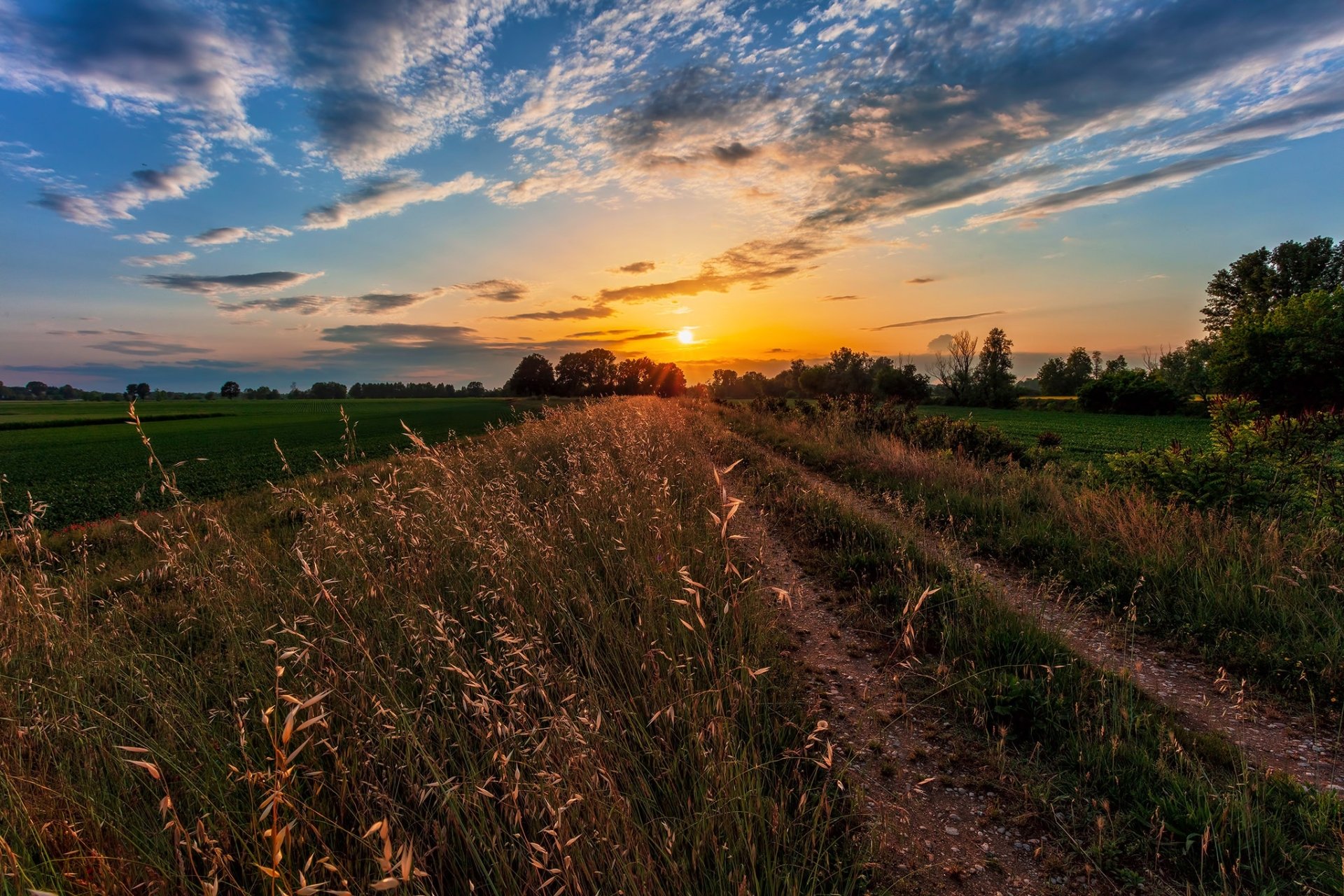Download Nature Field HD Wallpaper