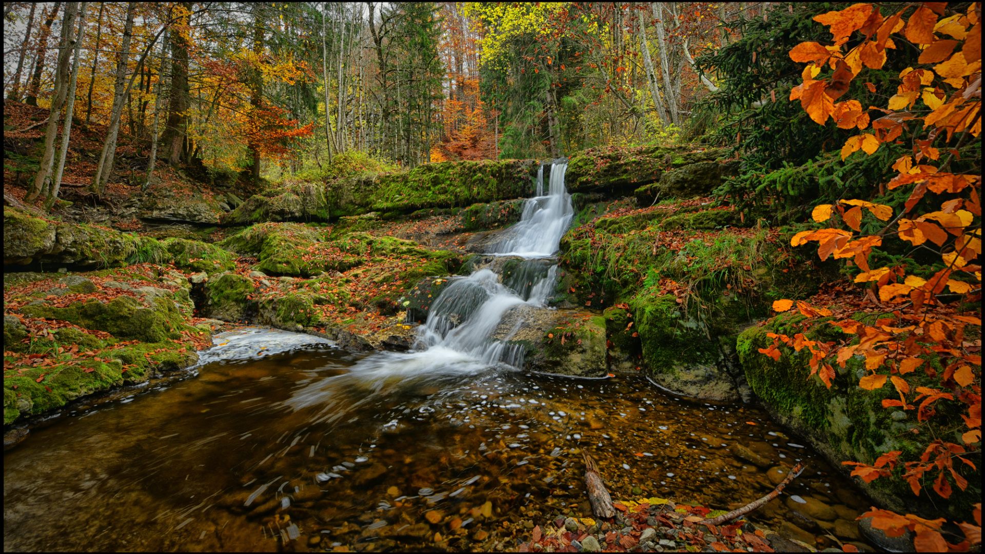 Download Stream Fall Nature Waterfall HD Wallpaper