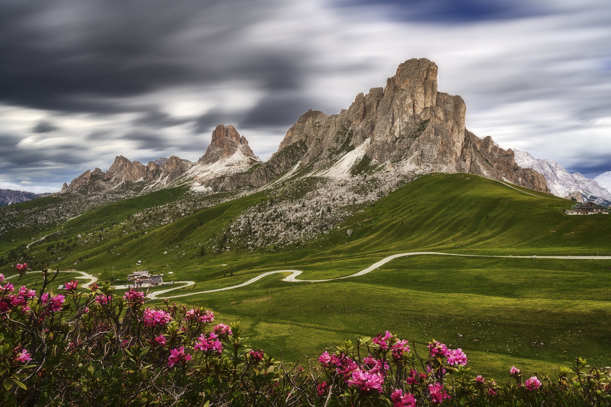 Download Dolomites Alps Mountain Flower Summer Nature Landscape HD ...