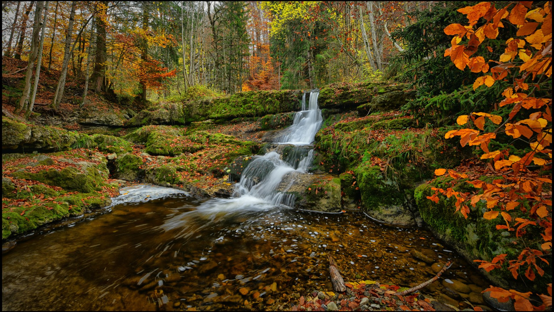 Download Stream Fall Nature Waterfall HD Wallpaper