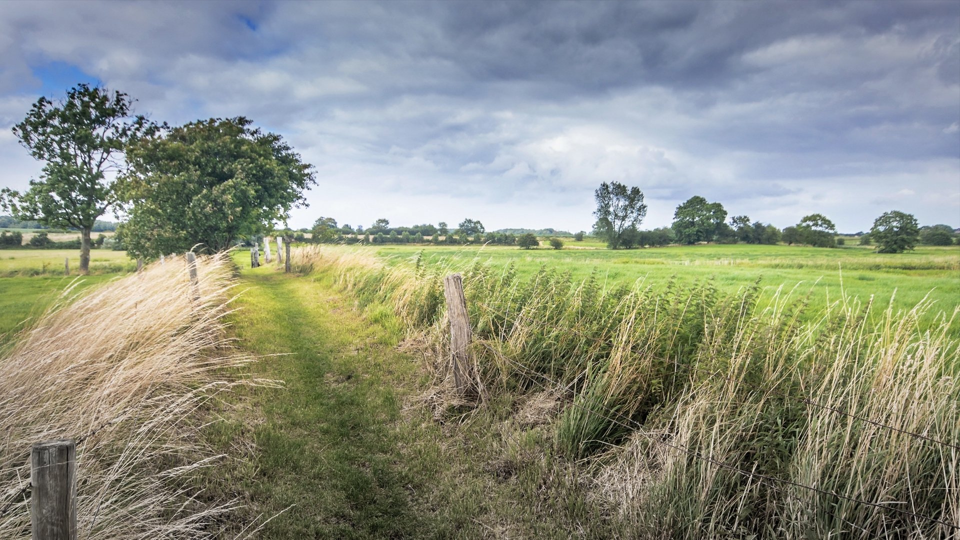 Download Fence Summer Nature Field 4k Ultra HD Wallpaper | 3840x2160 ...