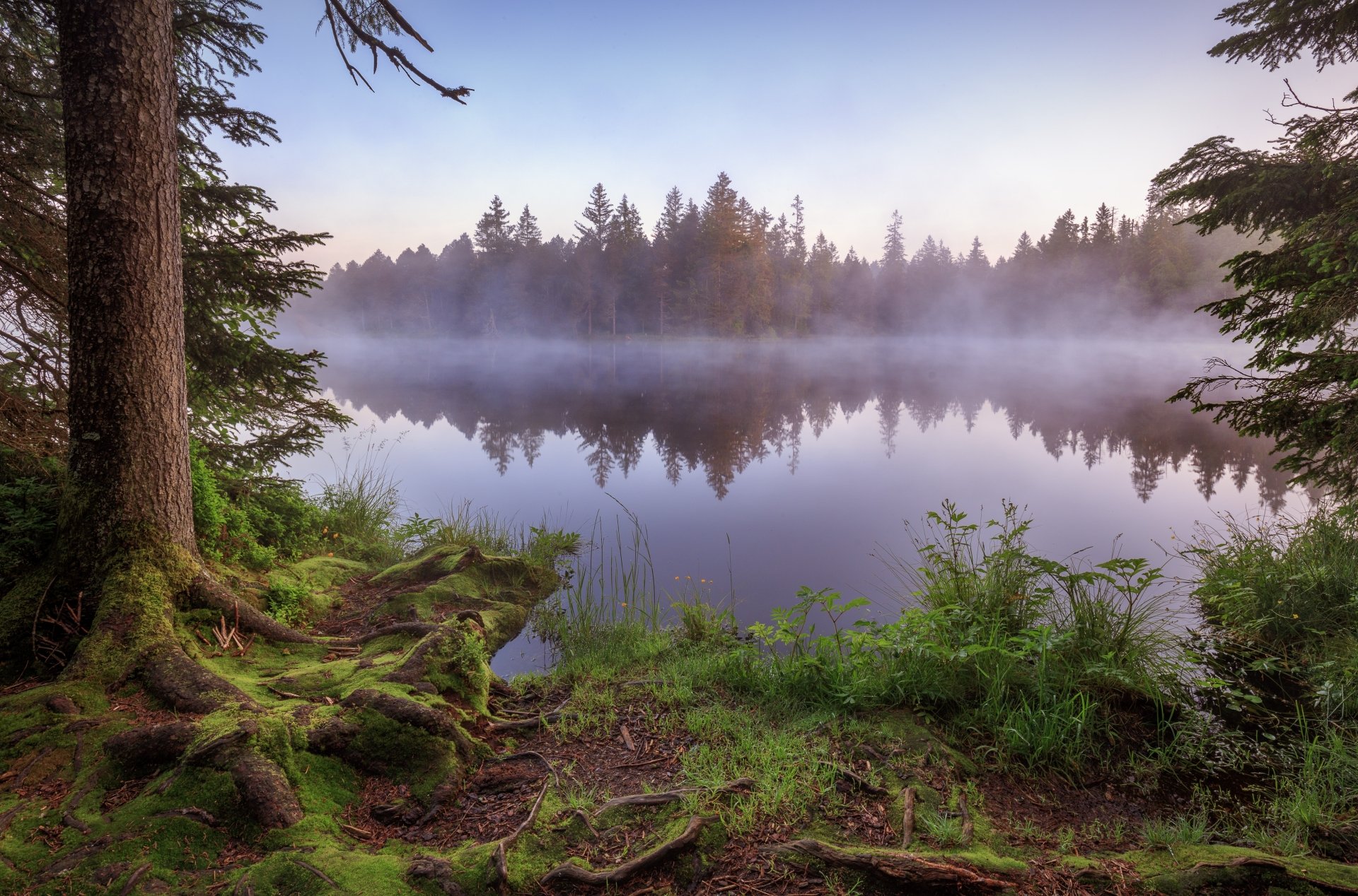 Download Shore Fog Forest Nature Lake 4k Ultra HD Wallpaper | 5746x3795 ...