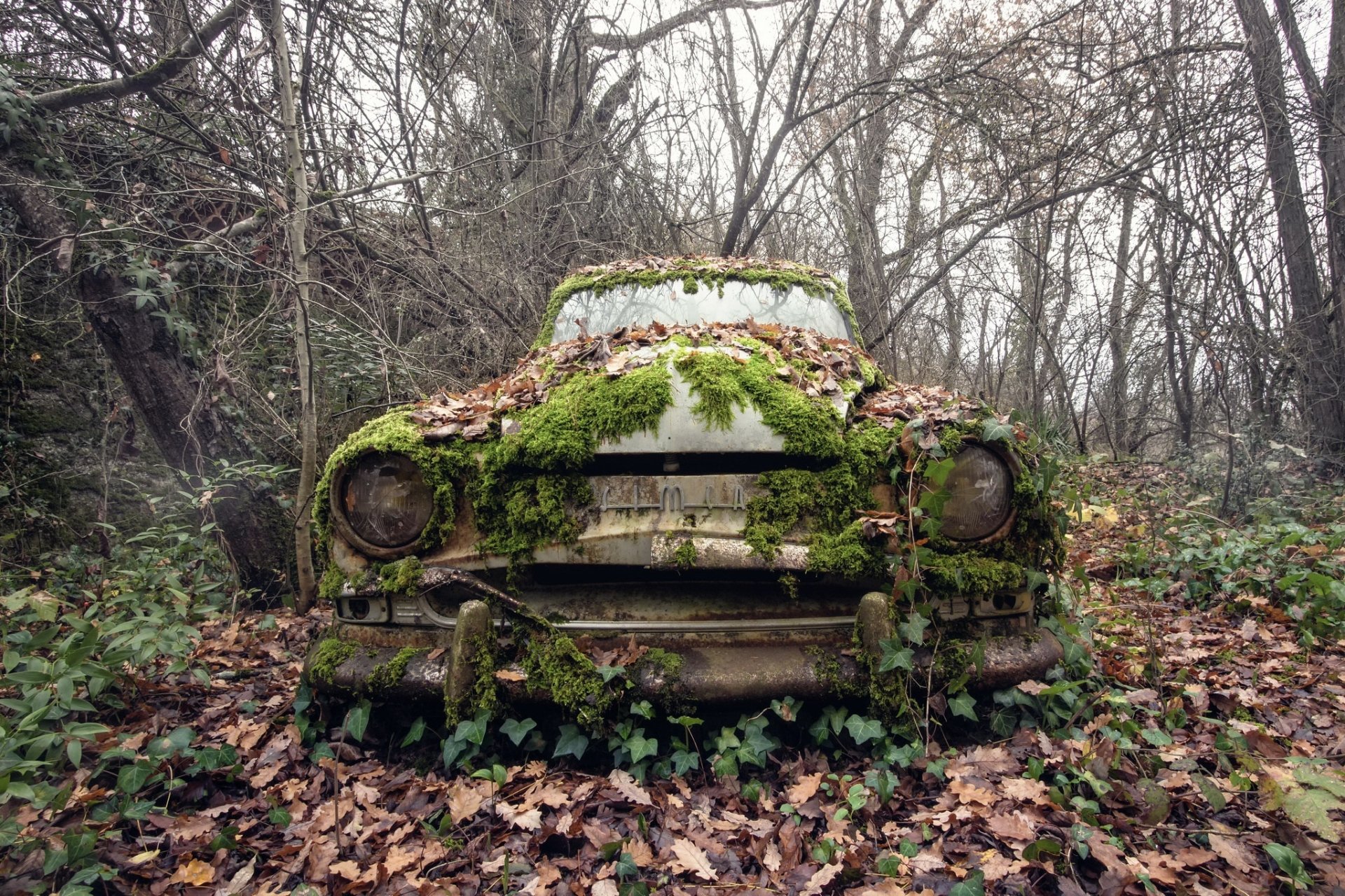 Download Moss Car Abandoned Vehicle Wreck HD Wallpaper | 2048x1365 ...