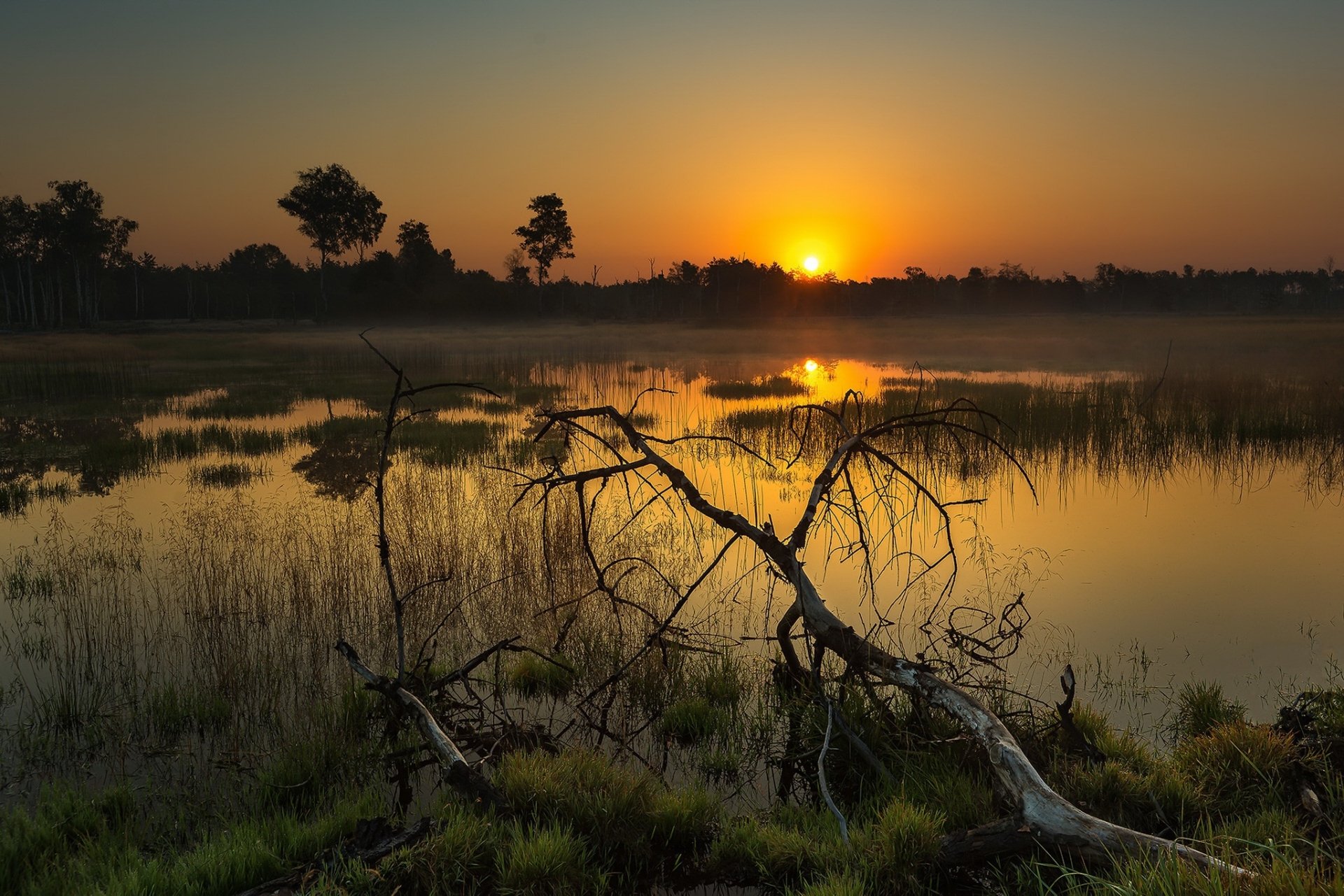 Download Tree Lake Nature Sunset HD Wallpaper | 2048x1366 | Wallpaper Abyss