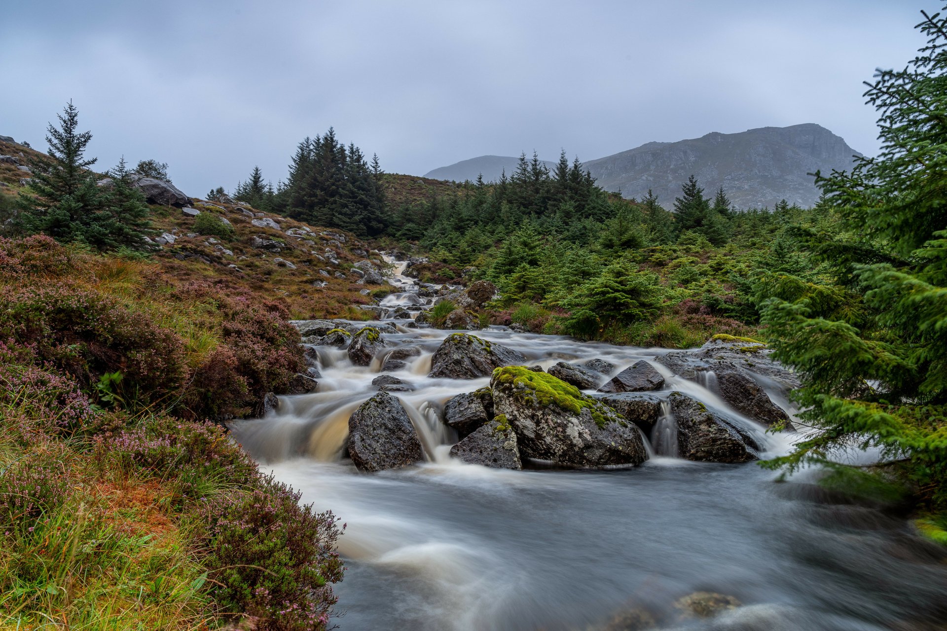 Download Norway Nature Stream 4k Ultra HD Wallpaper