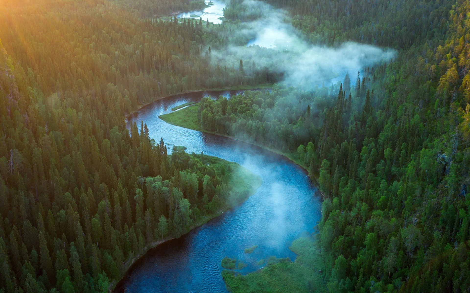 Download Fog Forest Nature River HD Wallpaper