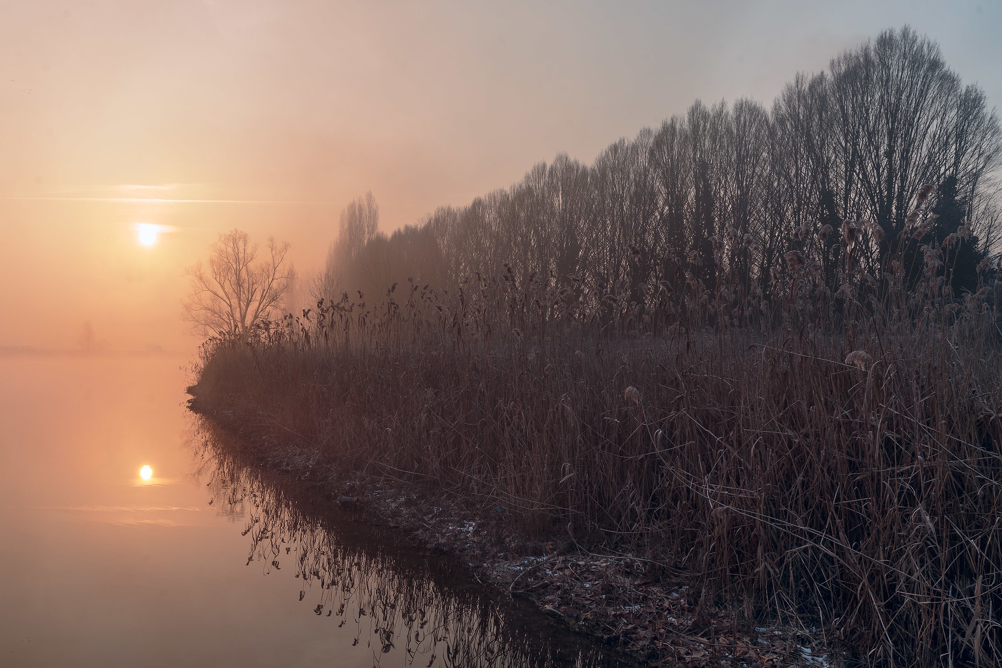 Download Reed Lake Fall Nature Fog HD Wallpaper