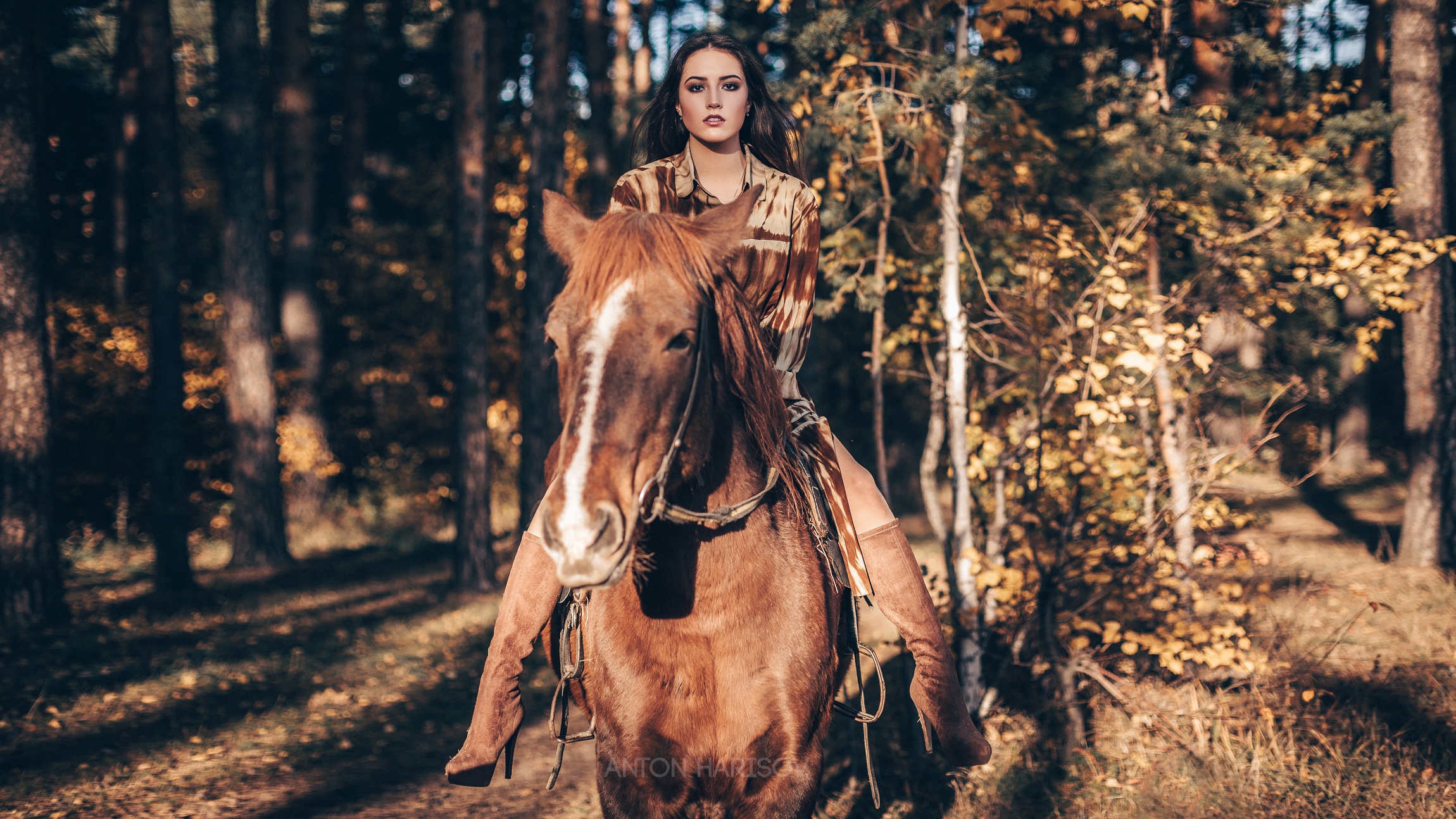 Download Brunette Horse Woman Model HD Wallpaper by Anton Kharisov