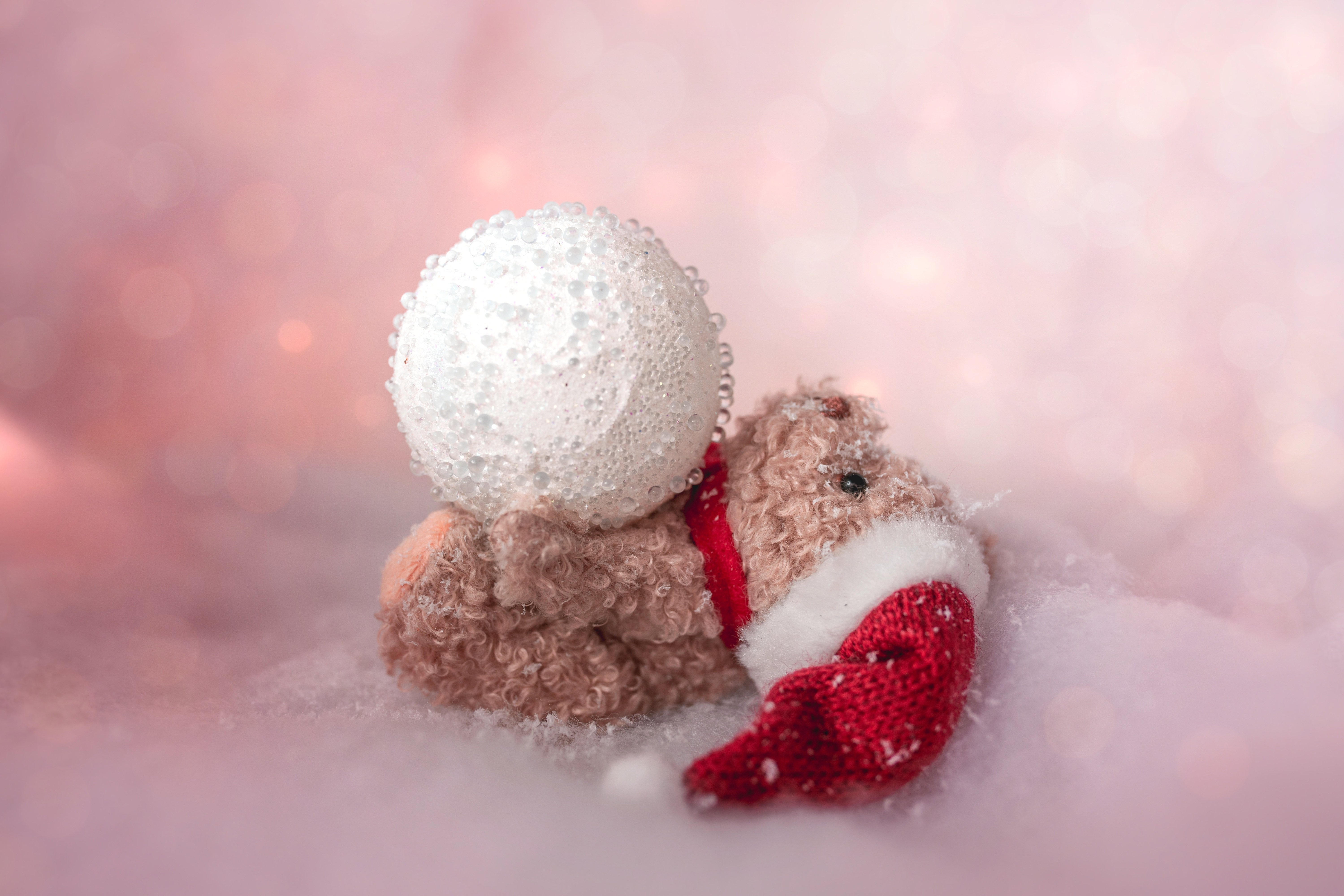 Download Santa Hat Teddy Bear Ball Toy Snow Winter Man Made Stuffed ...