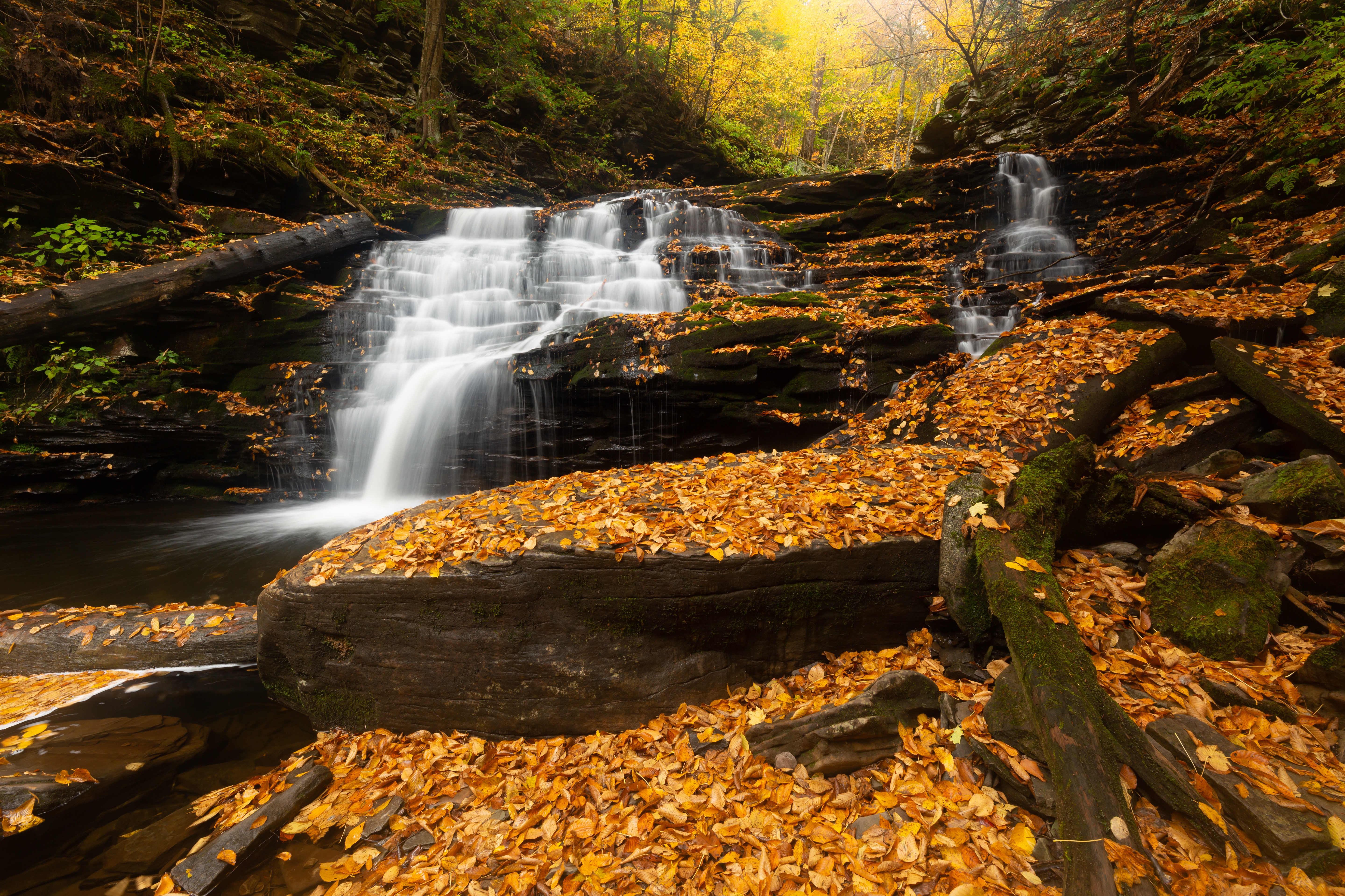 Download Fall Stream Nature Waterfall 4k Ultra HD Wallpaper