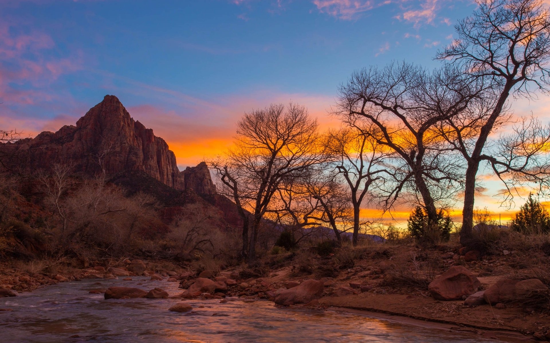 Download USA Tree Mountain Nature Water Sky Sunset Zion National Park ...