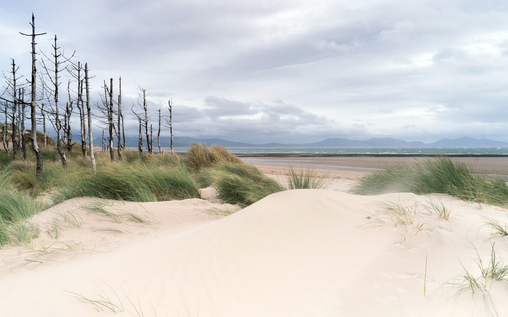 Download Sand Nature Beach HD Wallpaper