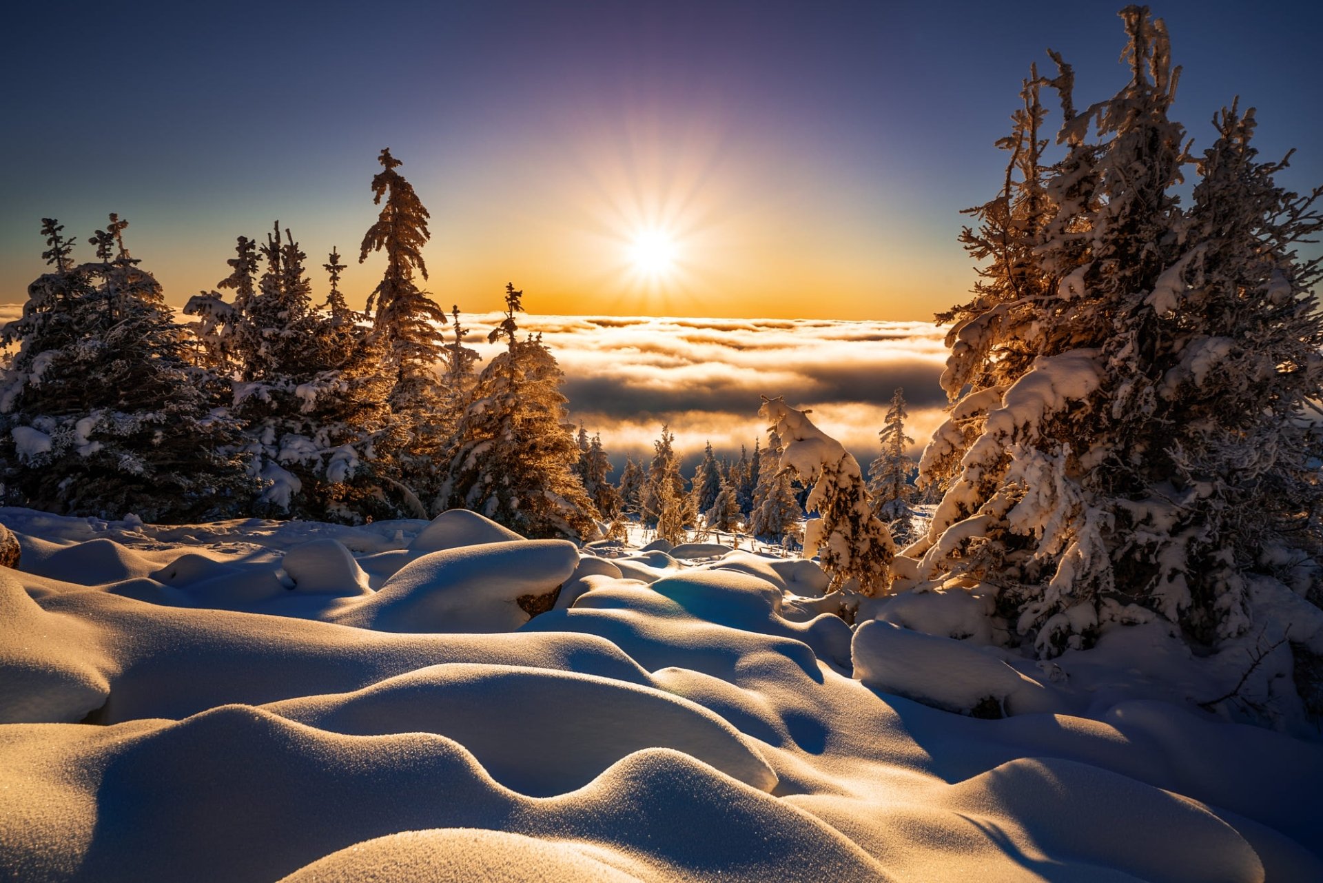 Download Horizon Nature Landscape Snow Sunbeam Sun Winter HD Wallpaper ...