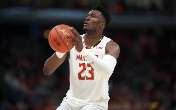 Bruno Fernando HD Desktop Wallpaper