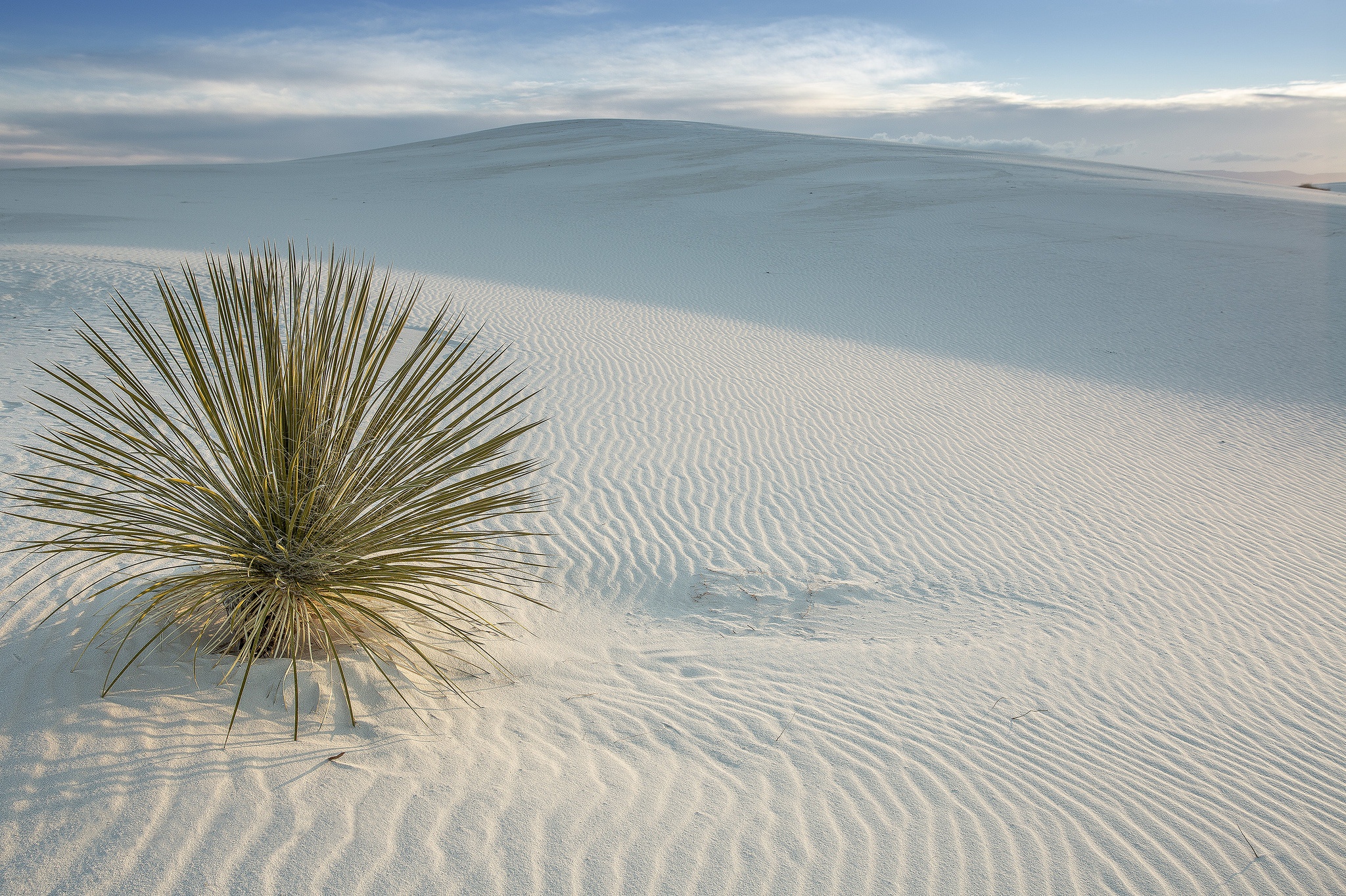Download Sand Dune Sand Nature Desert HD Wallpaper