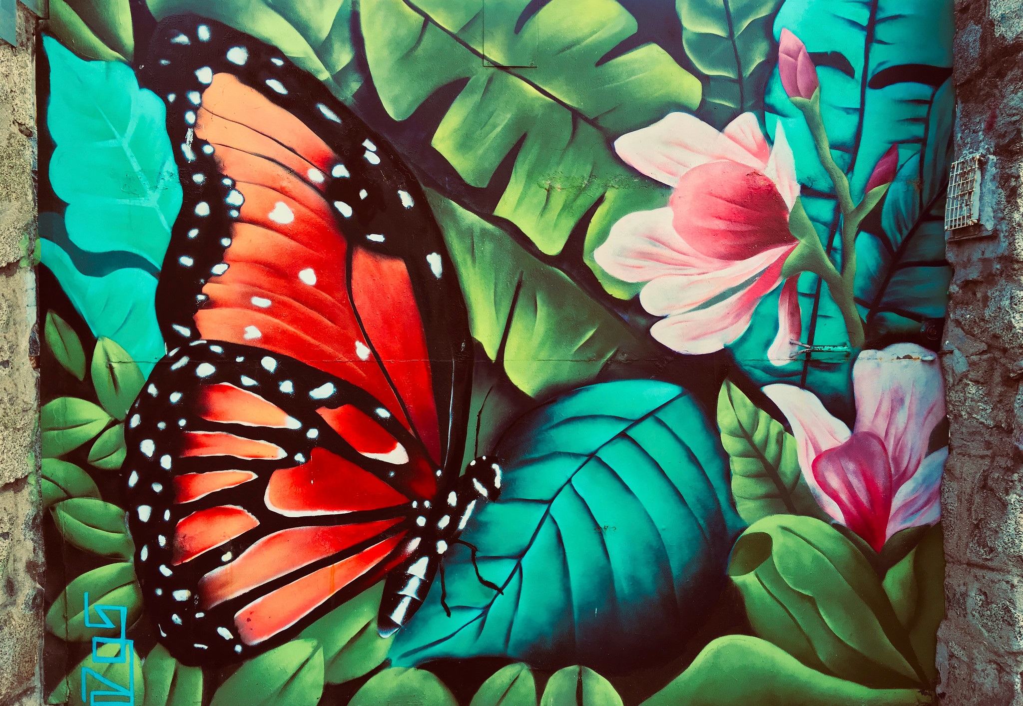 Download Butterfly Artistic Graffiti HD Wallpaper