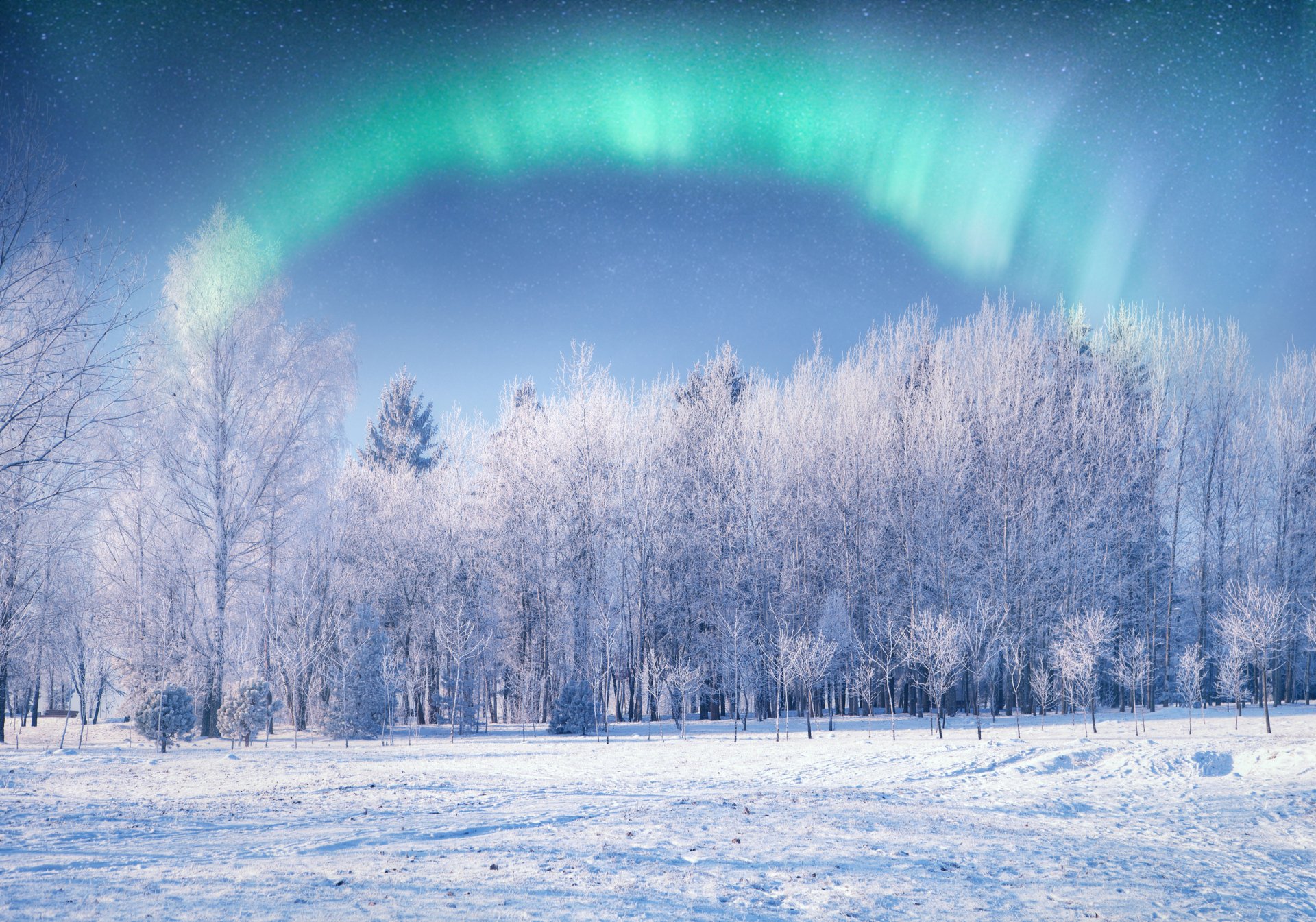 Winter Wonderland: HD Snowy Aurora Borealis Nature Scene | 3475x2435 ...