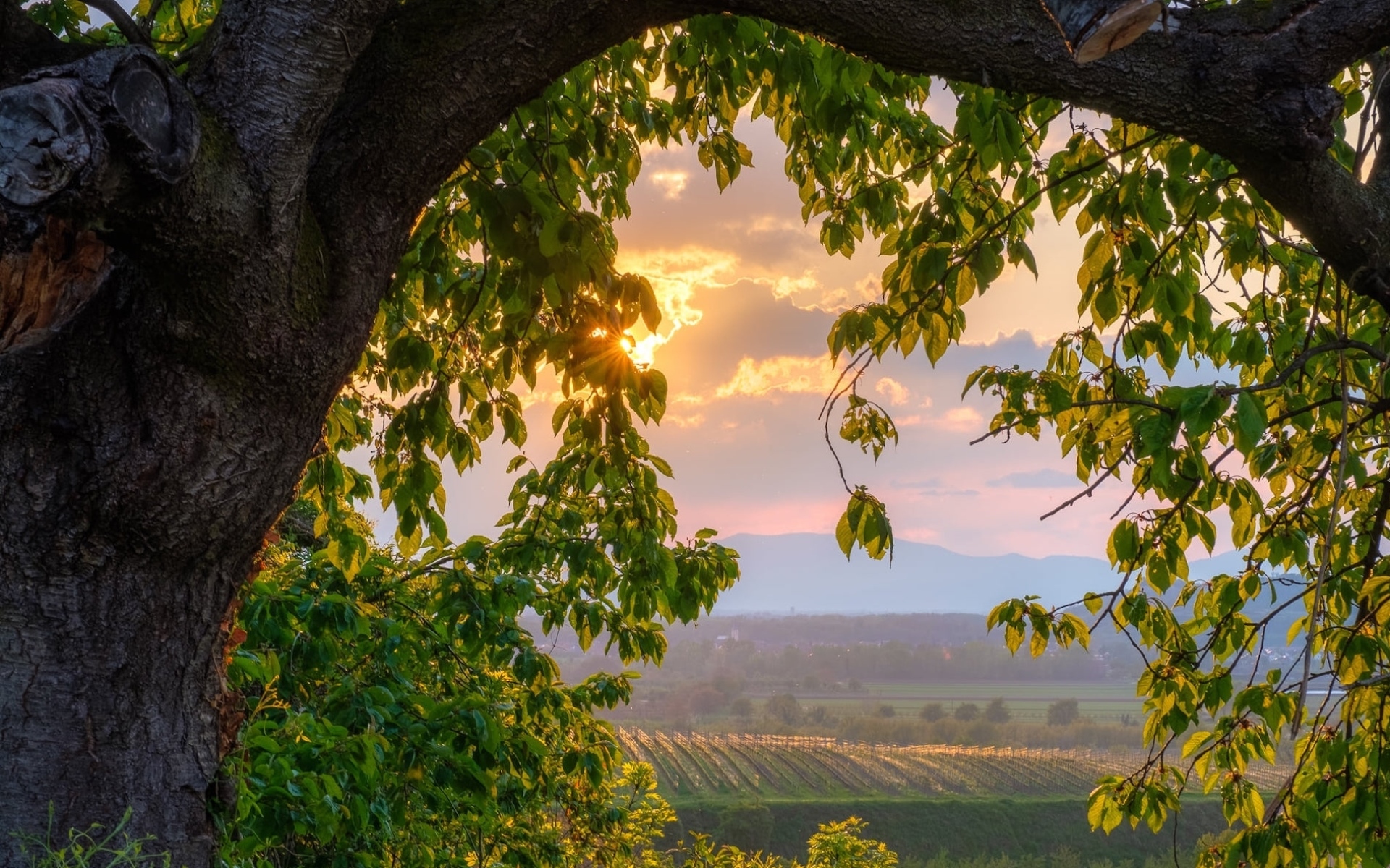 Download Nature Sunrise HD Wallpaper