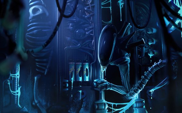 [50+] Xenomorph Wallpapers