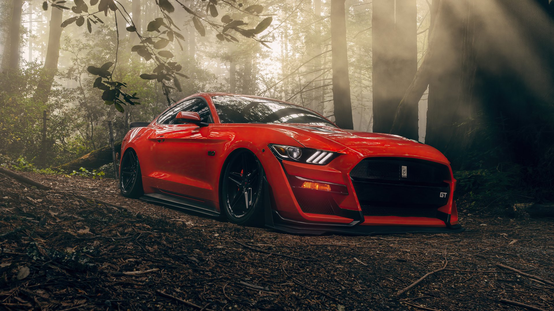 Ford Mustang GT In 4K Ultra HD Power Meets Nature By Andrija