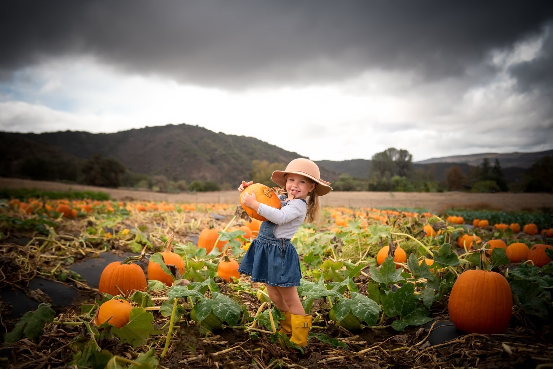 Download Little Girl Pumpkin Photography Child HD Wallpaper